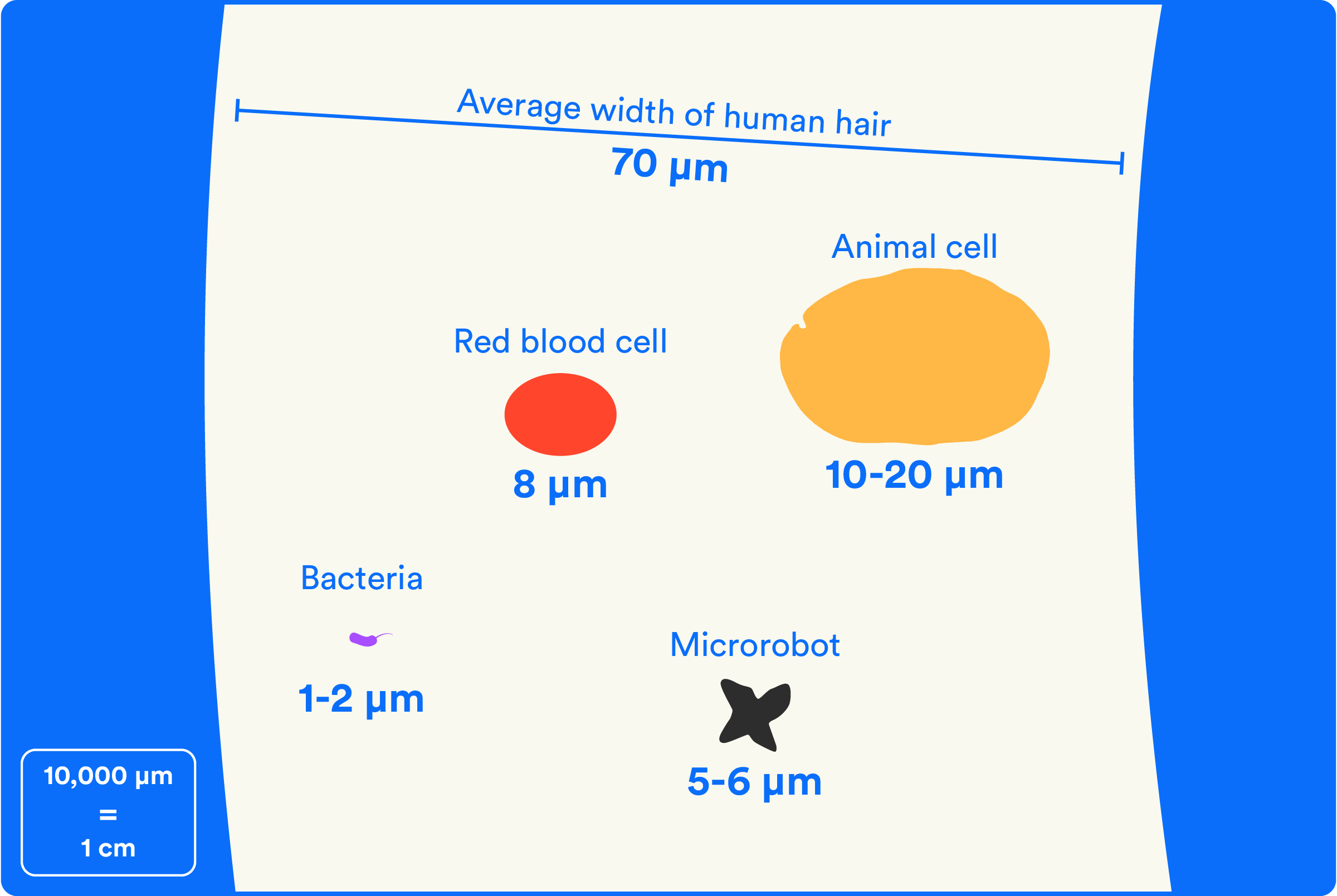 Newsela | Tiny swimming robots may help clean up a microplastics mess