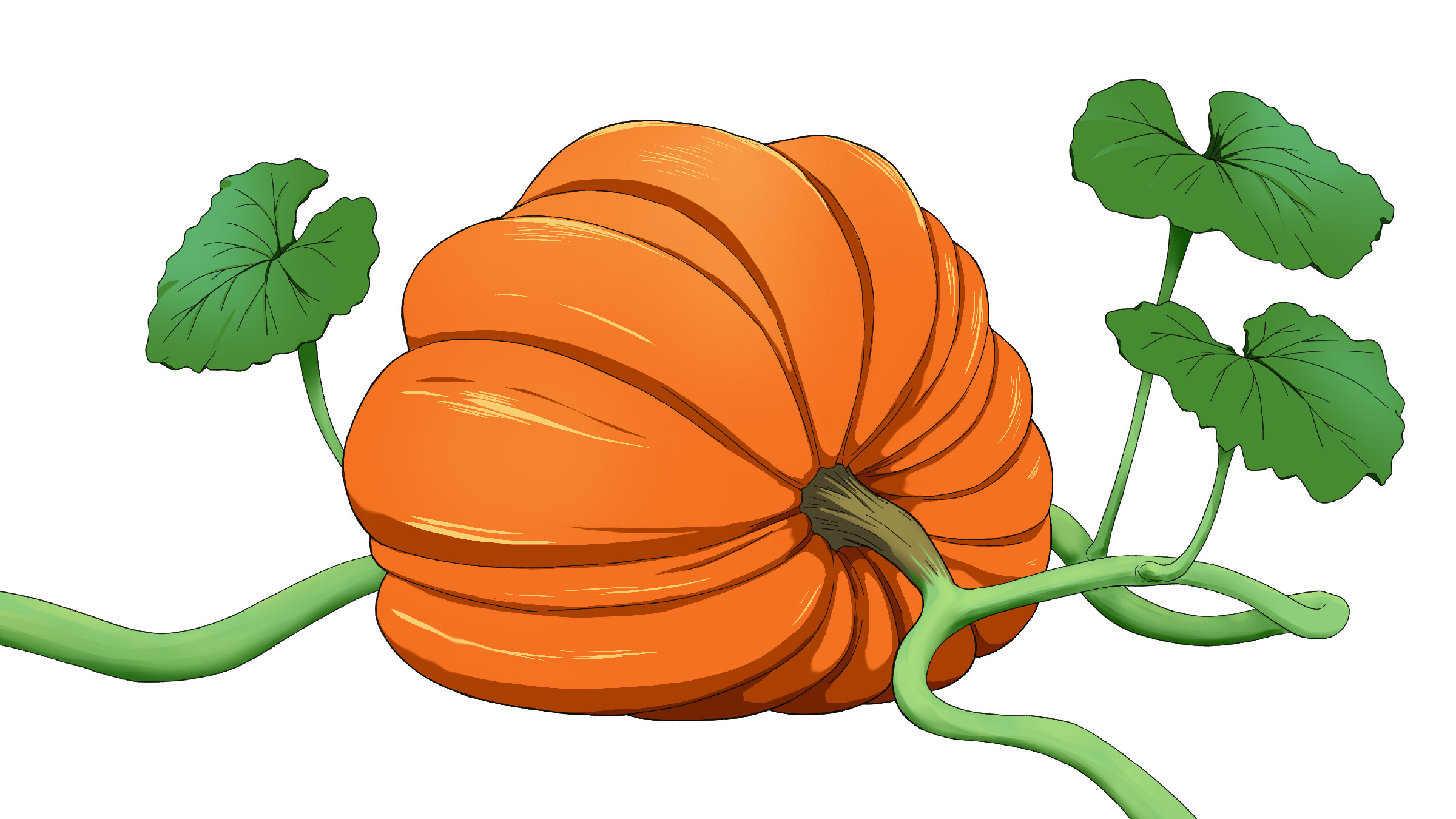 Here’s how giant pumpkins get so big