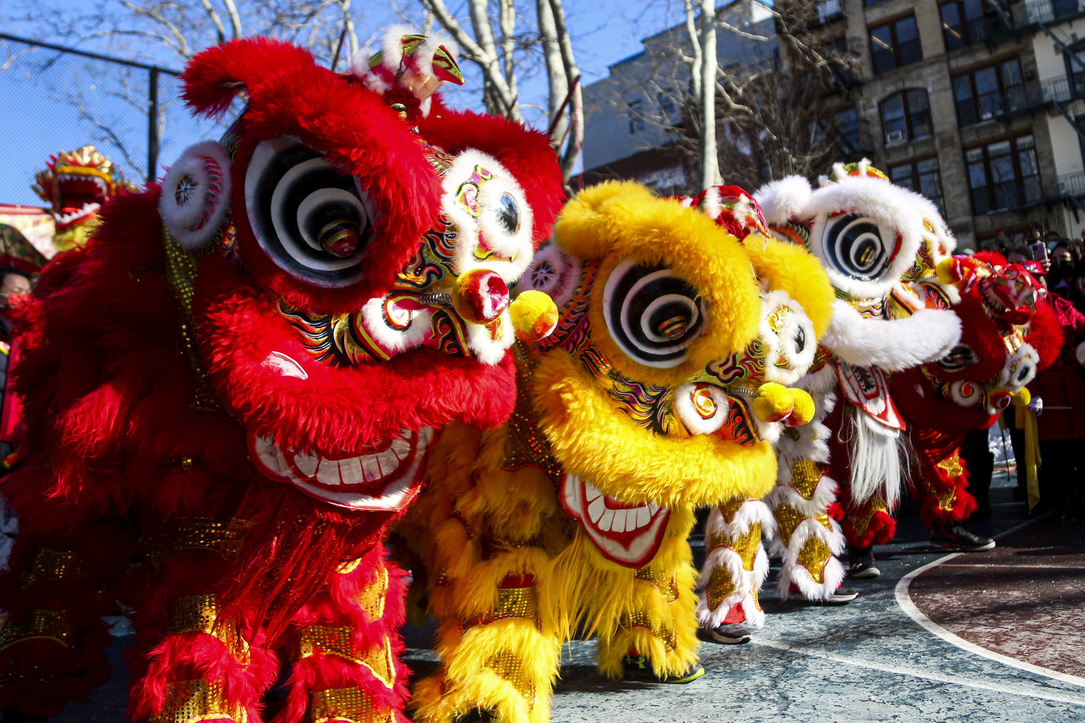 Dancing lions: Chinese dancers dressed in costumes celebrate Lunar New Year