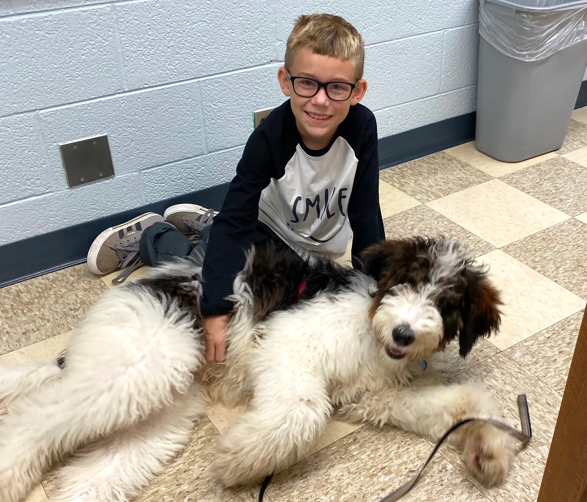 Schools turn to dogs to ease student mental health crisis