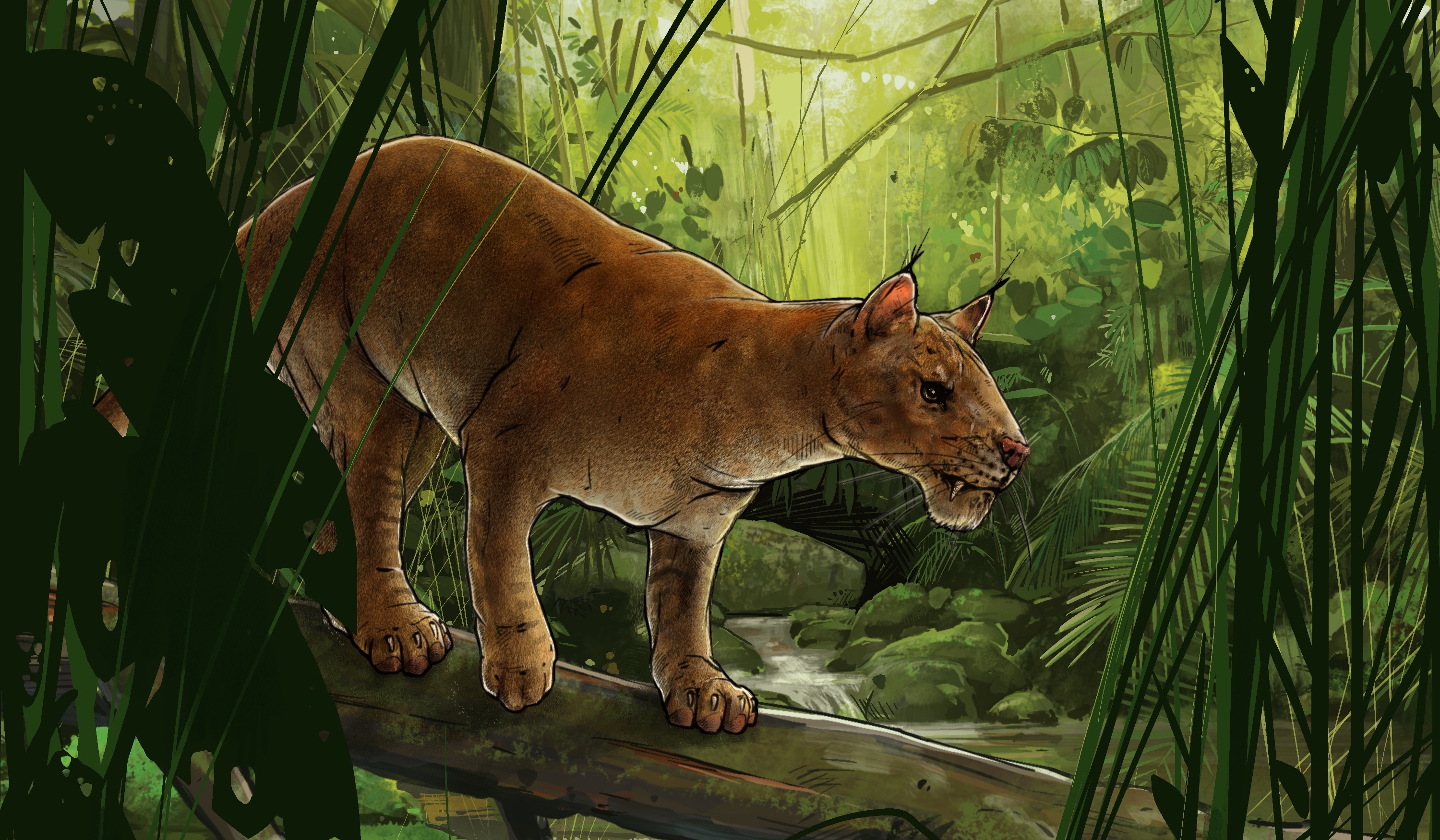 Meet one of the earliest meat-eating mammals
