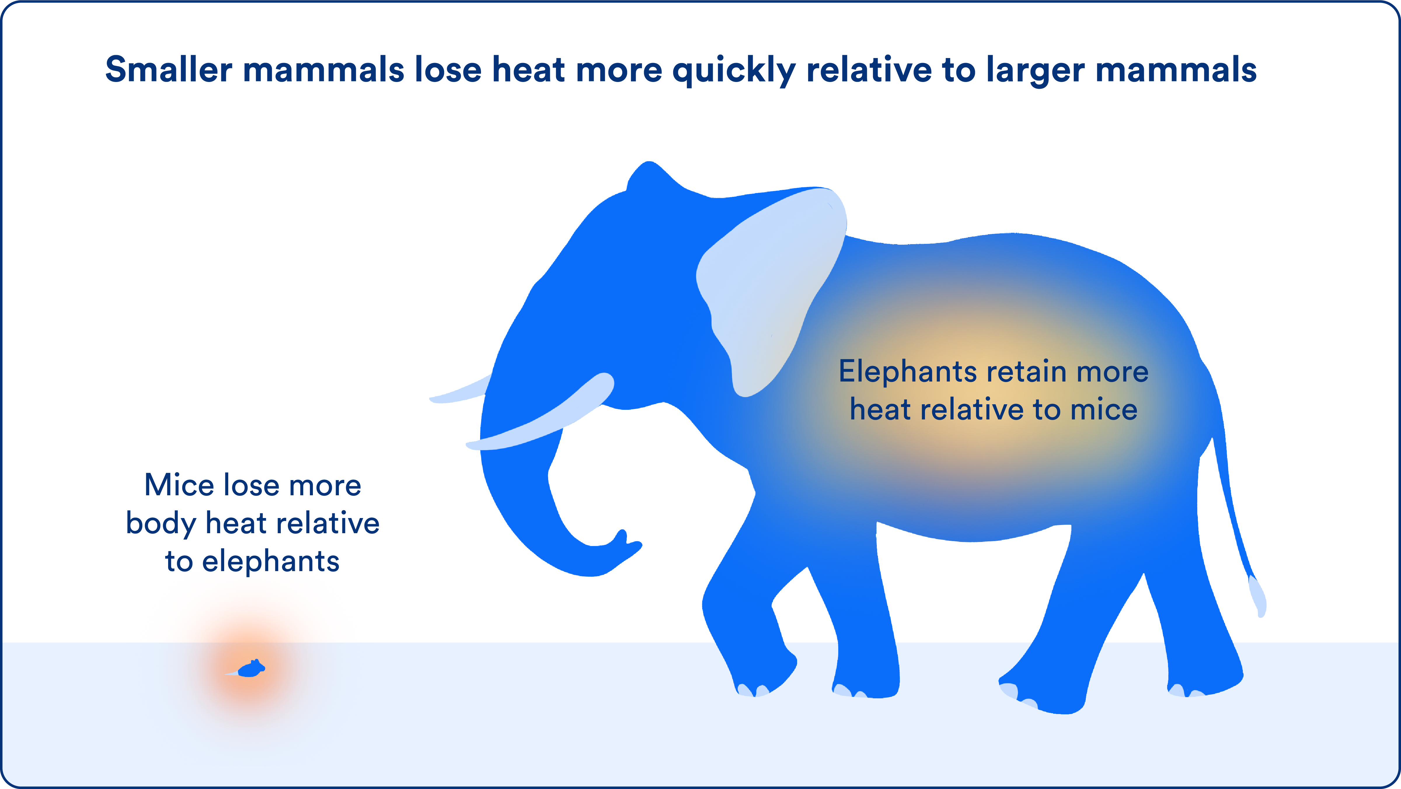 Newsela | Monstrous mammals would break the body rules