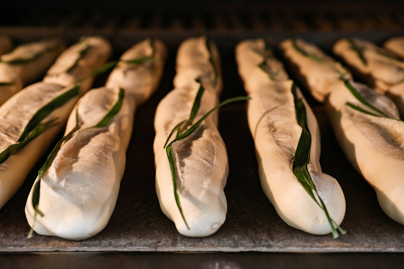 Tampa tradition of baking Cuban bread with palmetto leaves may come to ...