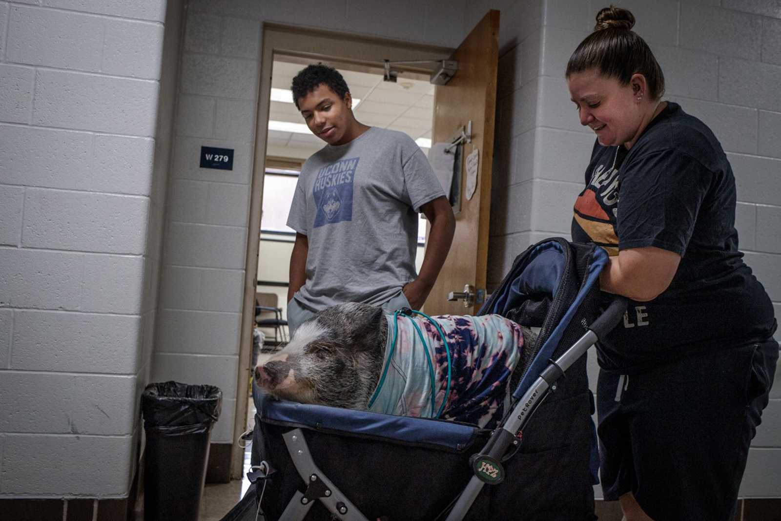 Newsela | For schools or nursing homes in need, Porkchop the therapy ...