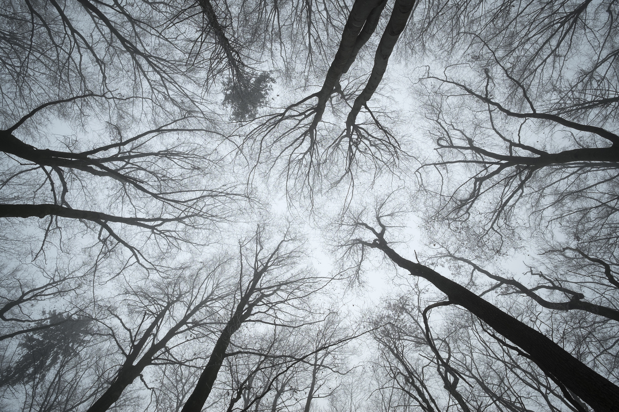 “Winter: My Secret”: A poem by Christina Rossetti