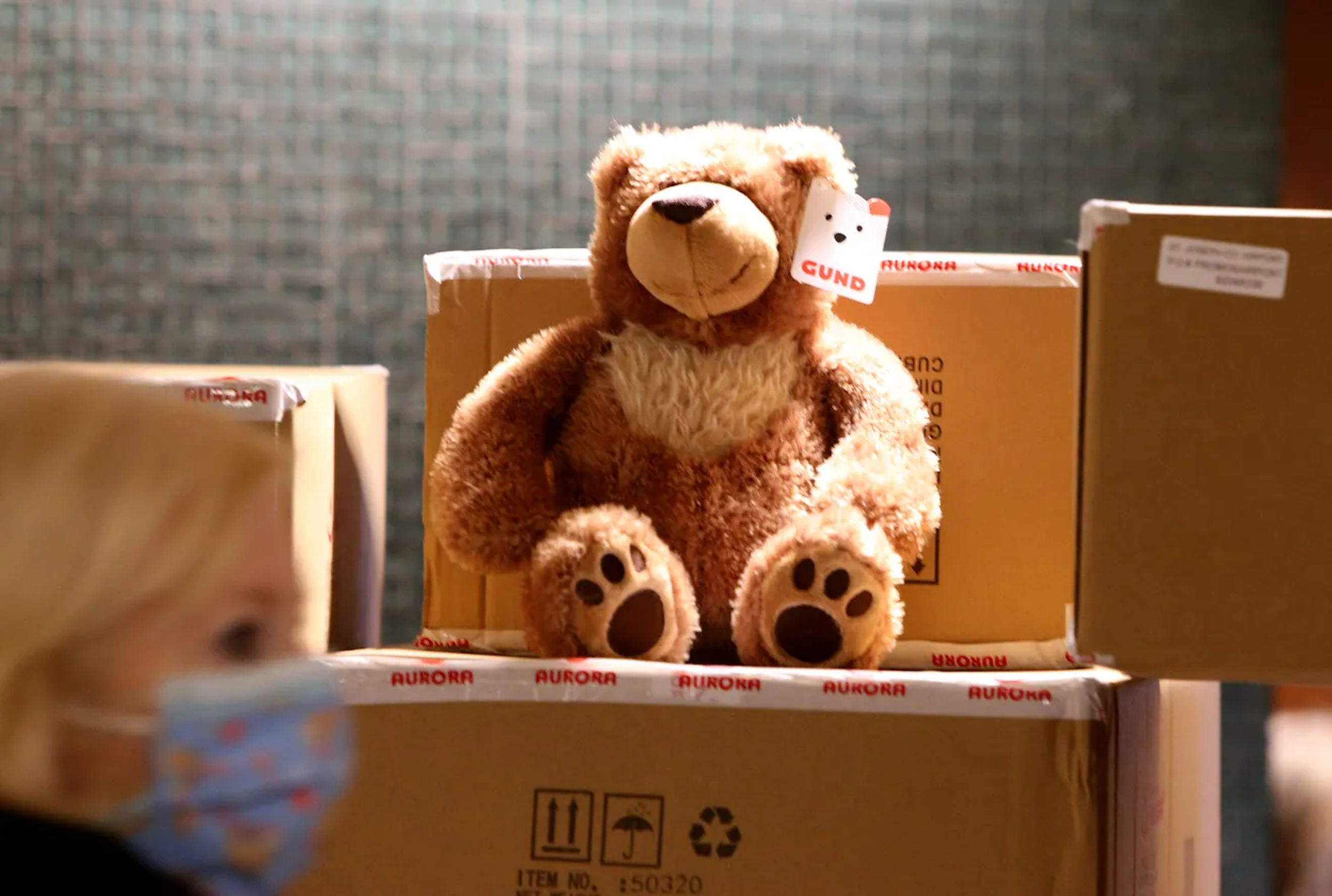 Teddy bears delivered to children's hospital in Indiana offer comfort, hope