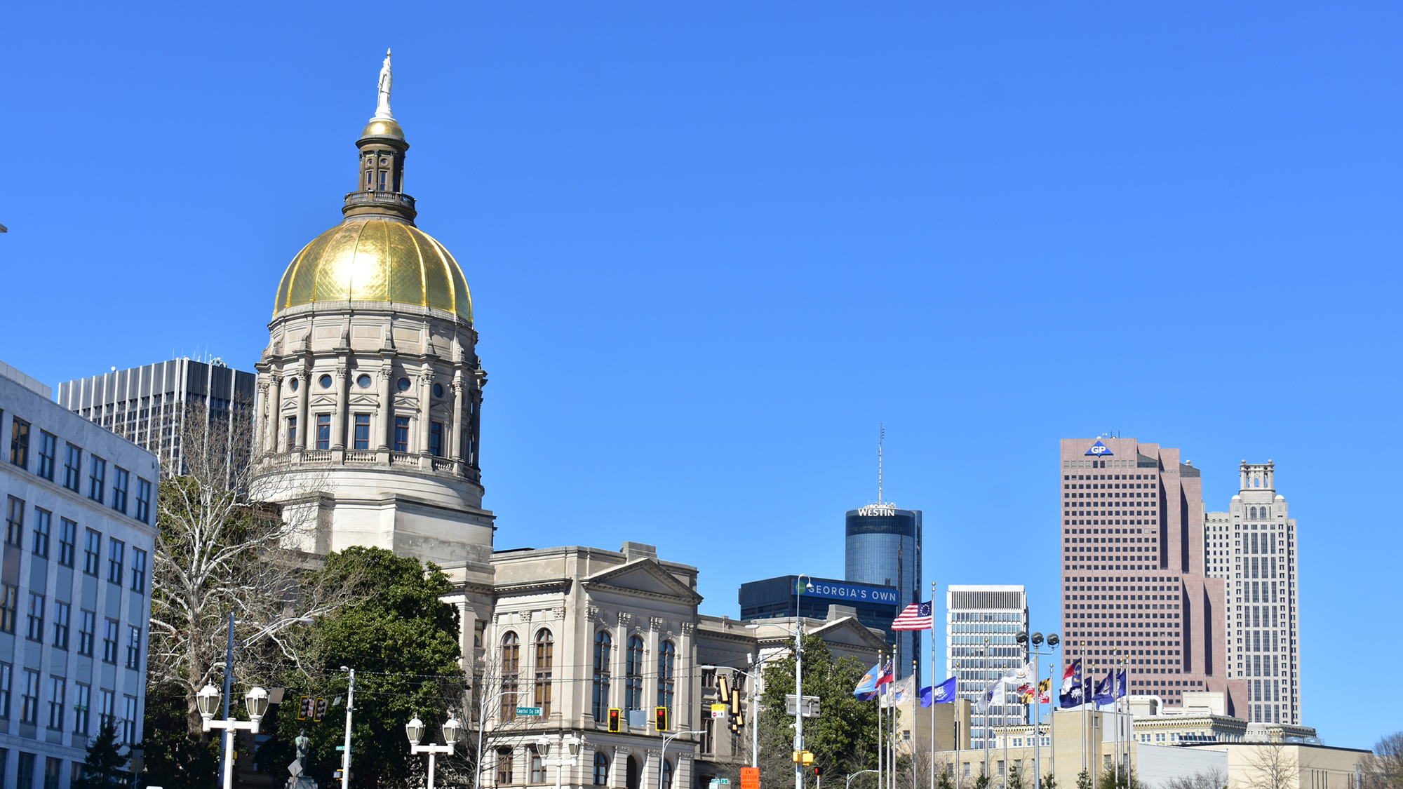 Georgia executive branch overview