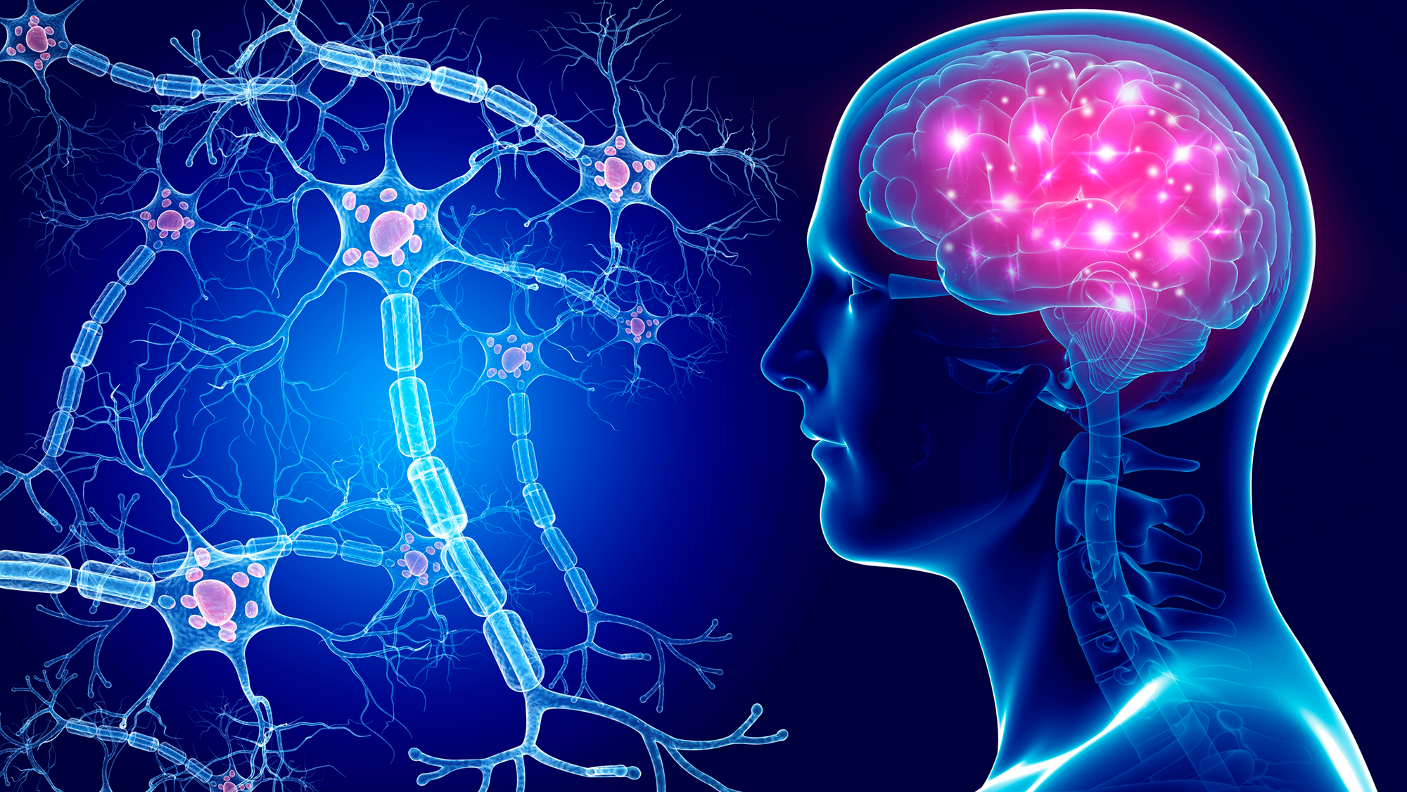 Do we really use only 10 percent of our brains?