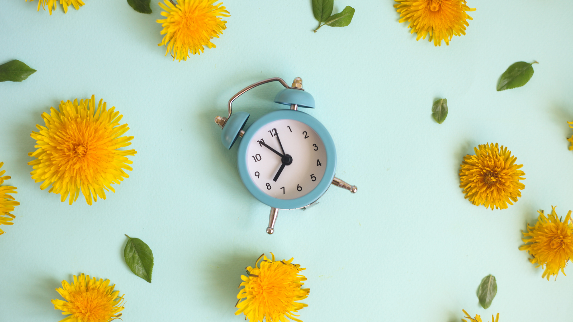 Spring forward, fall back