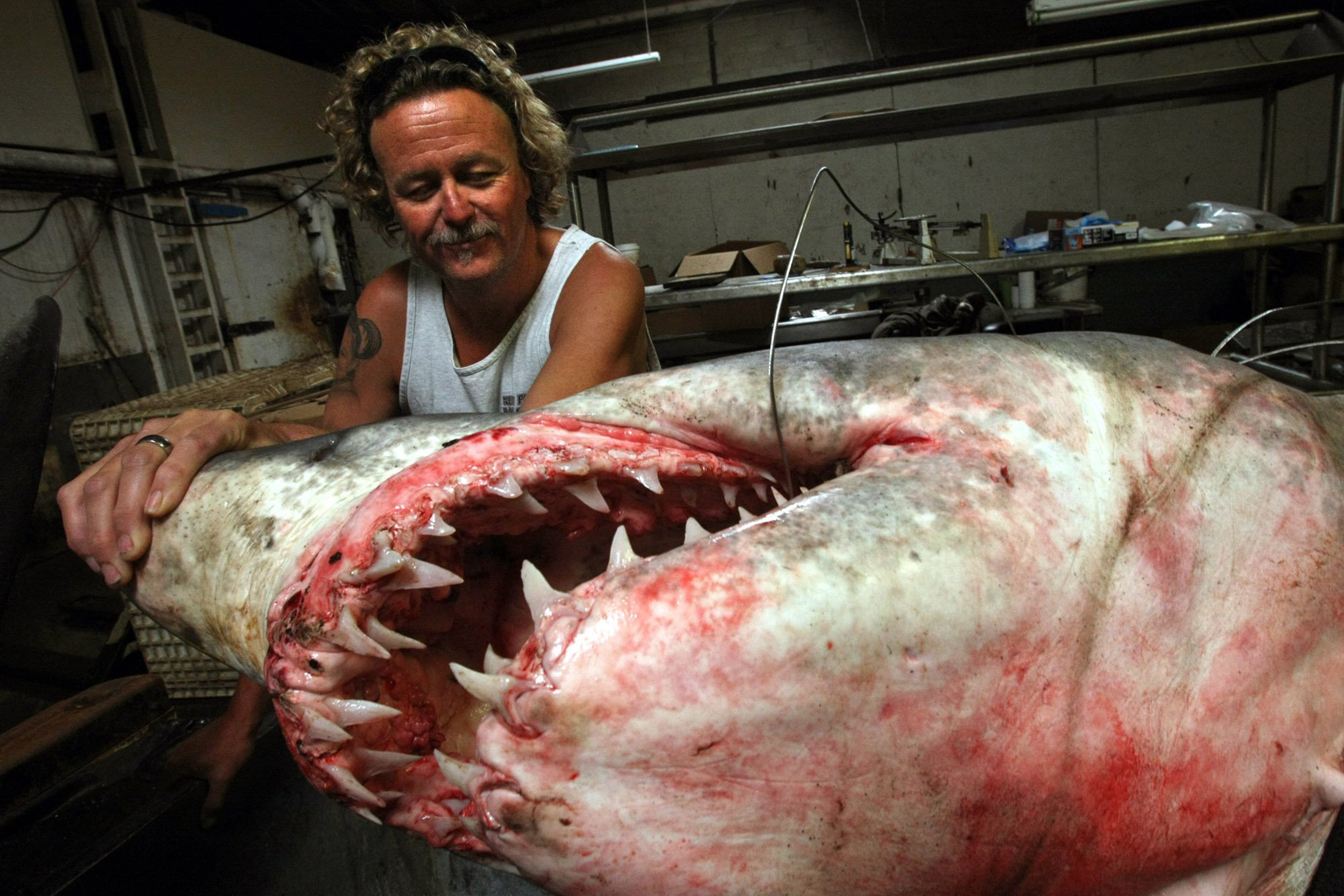 Reality bites: Catching a big mako shark for a TV show