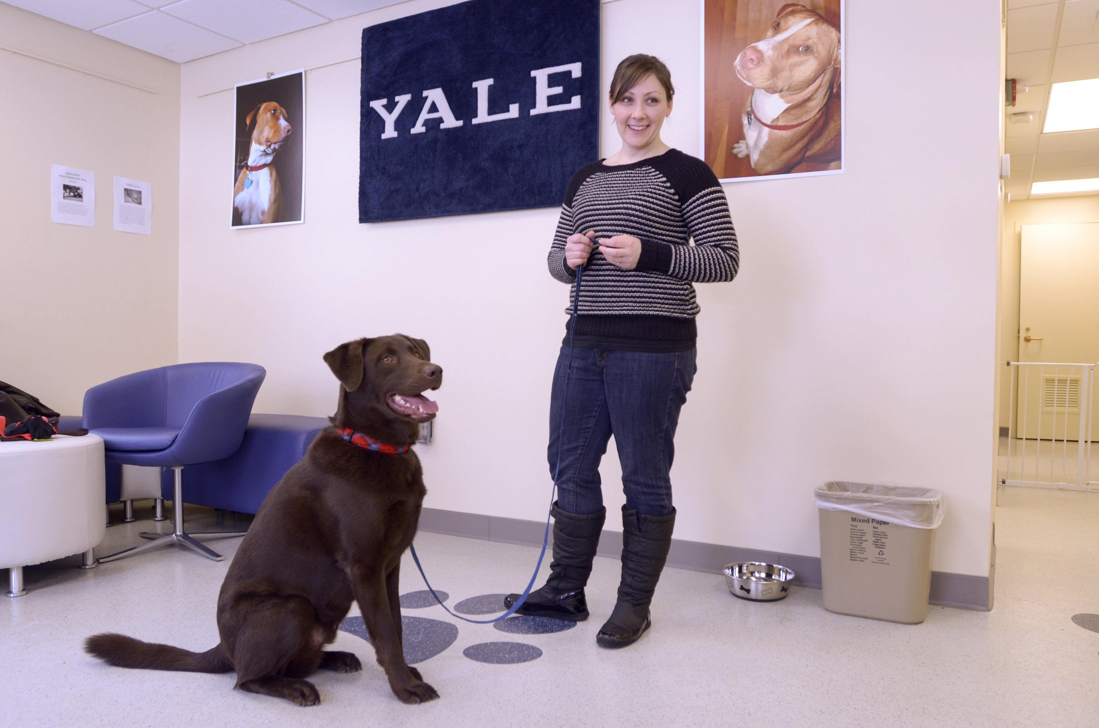 What’s your dog thinking? Researchers at Yale want to know