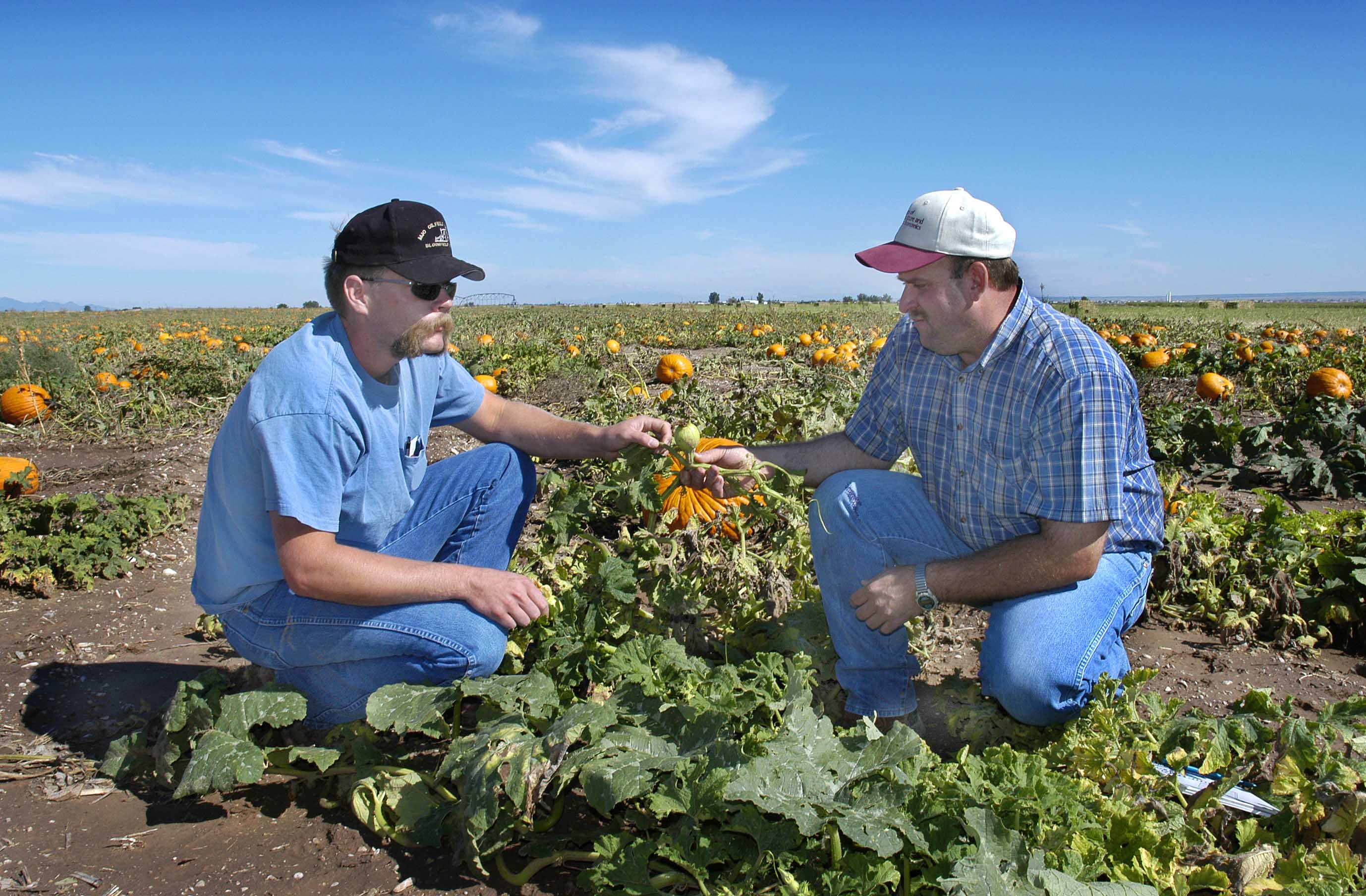 Agriculture programs changing with technology