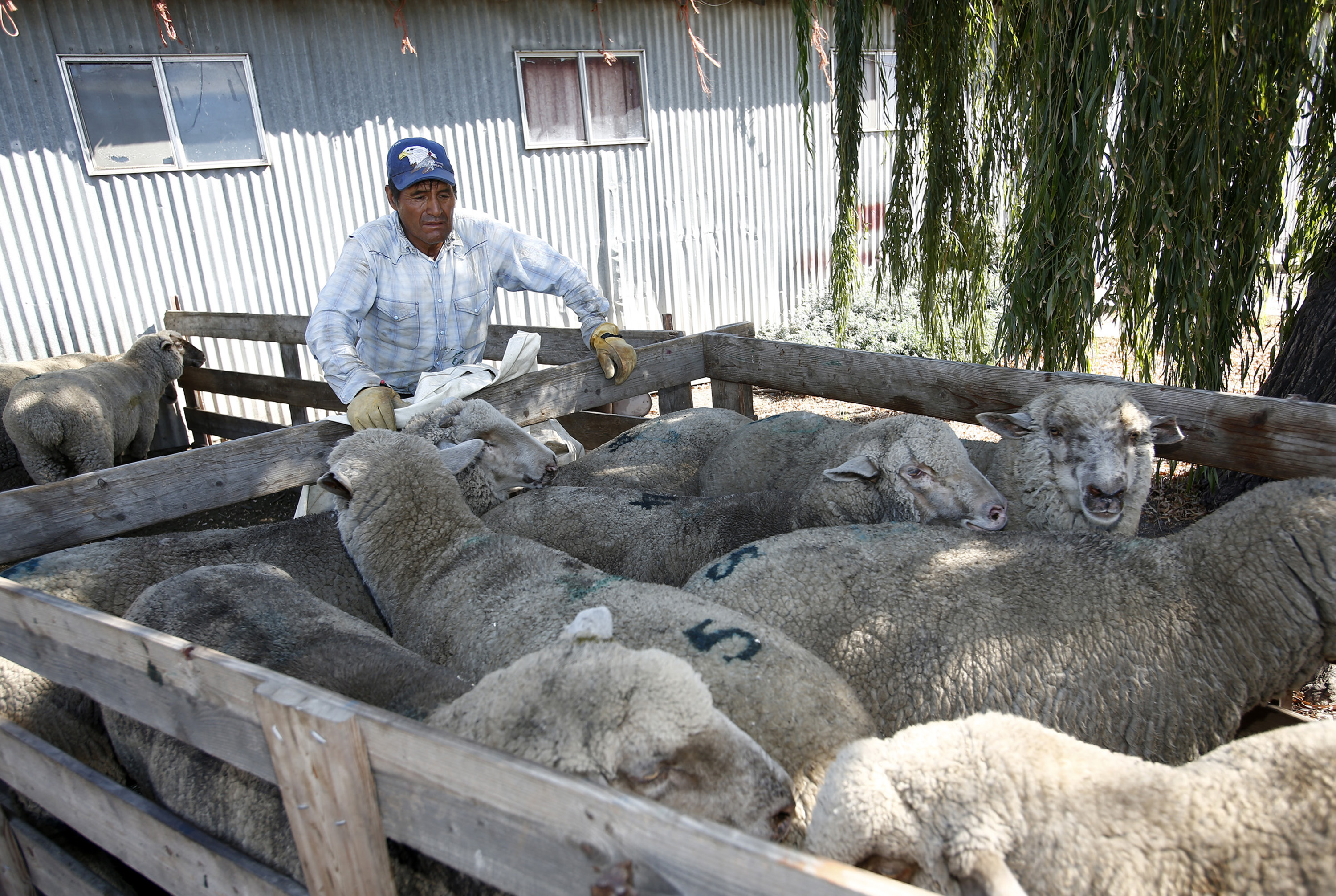 Farmers feeding the world's billions through "ag-tech"