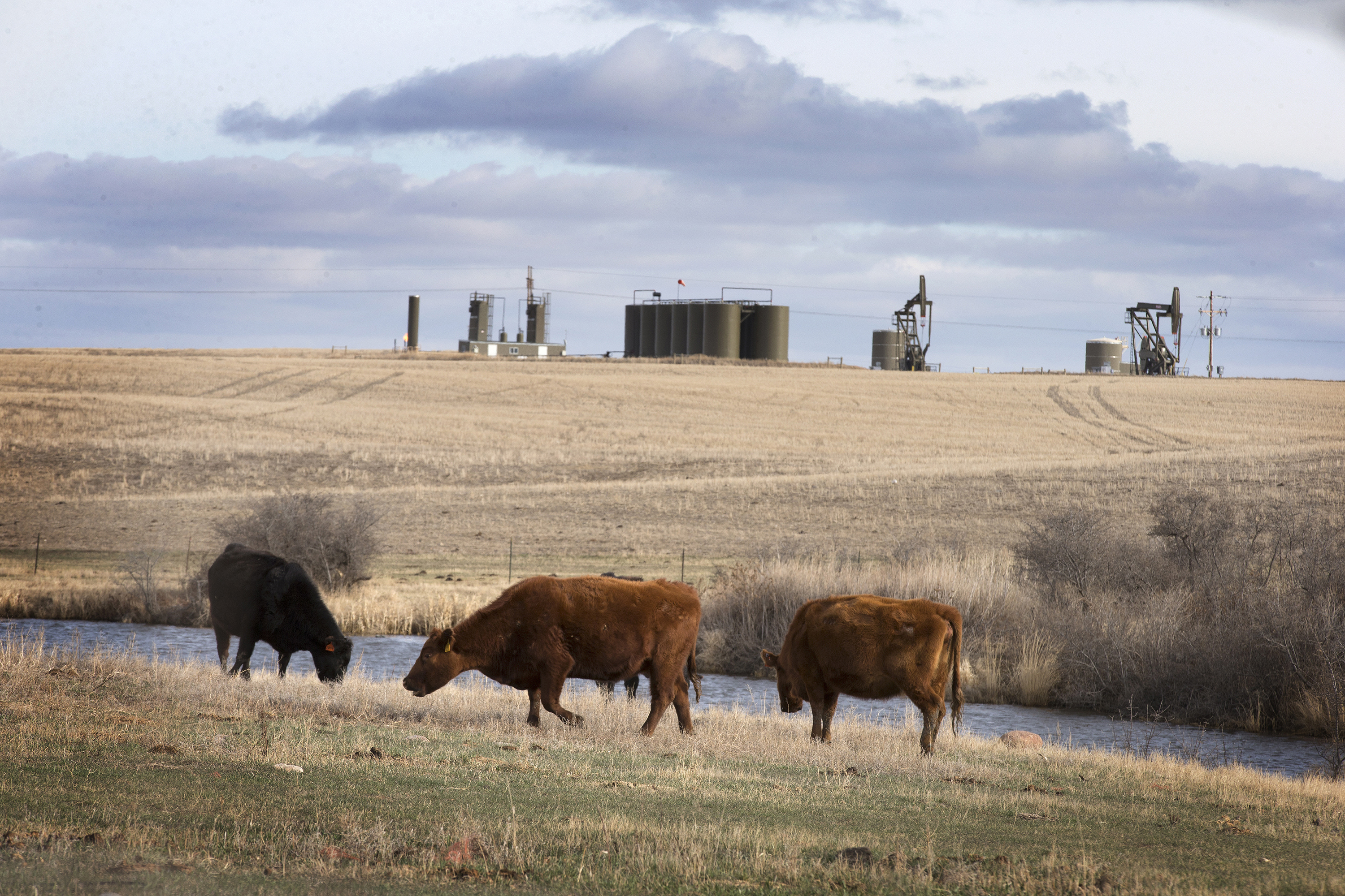North Dakotans take a breather as oil drilling slows in Boomtown, U.S.A.