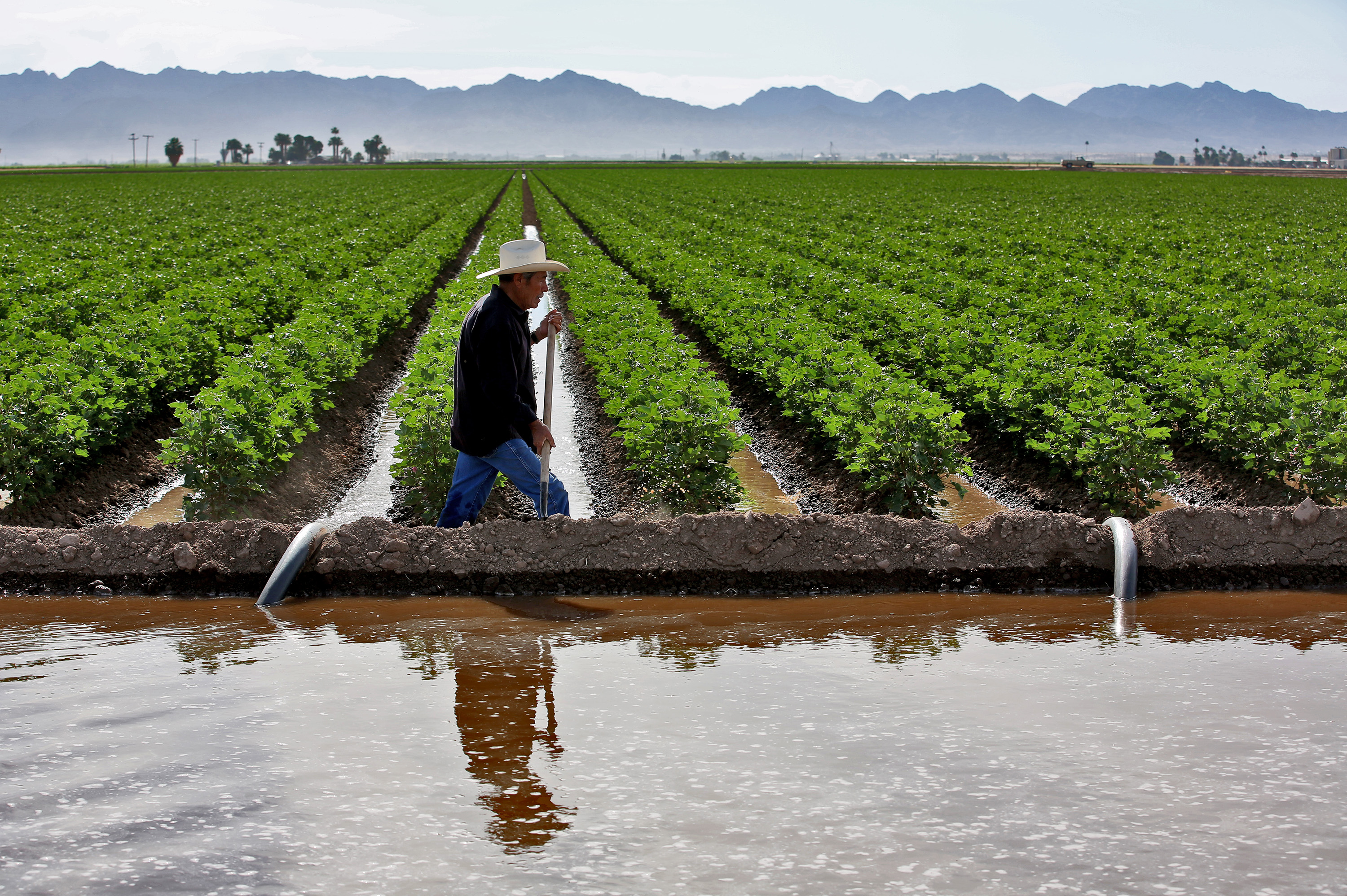 Yuma farmers square off, ready for battle over dwindling water supply