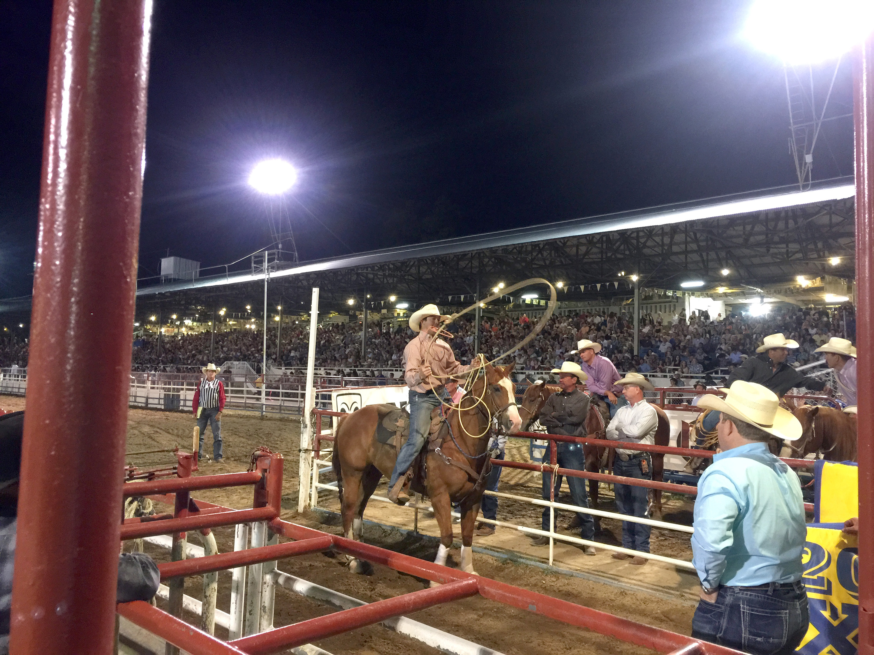 Bruce the horse just could not win, but to Bryce the cowboy, he's a champ