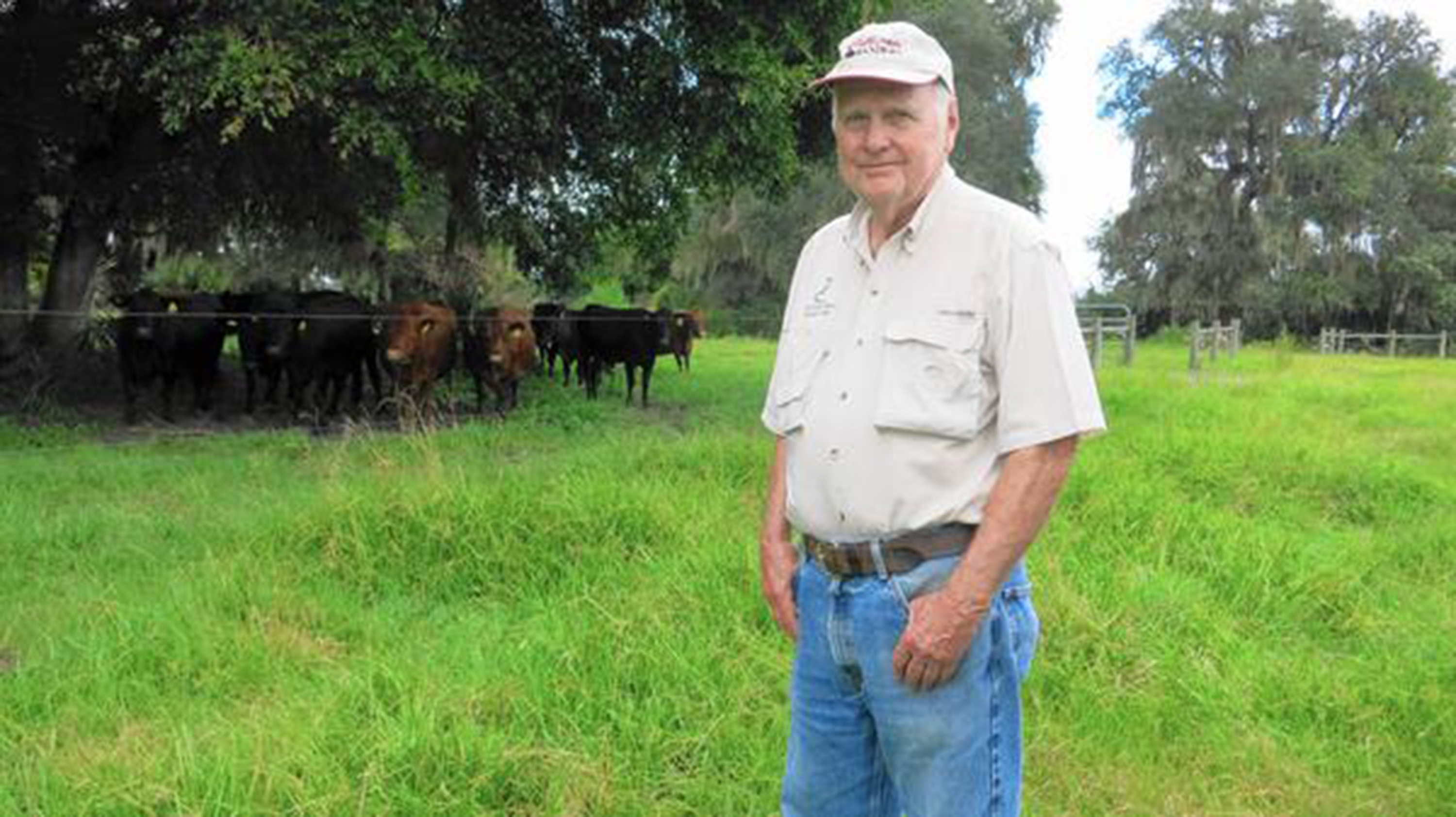 A few farmers raise cows that graze only on grass