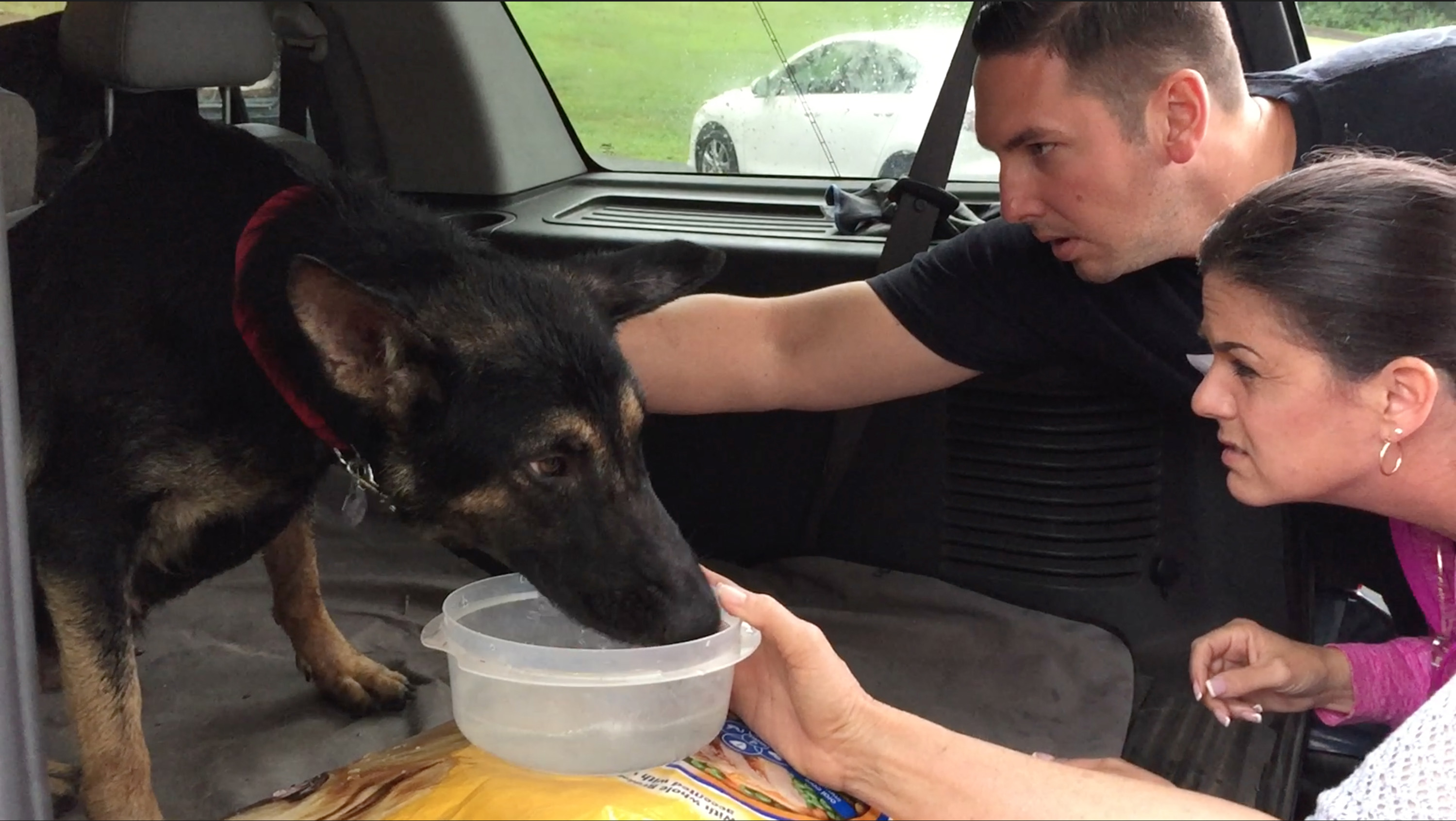 Group gives stray a chance to join police, unleash crime fighting skills