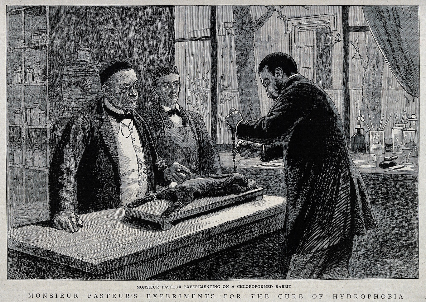 Time Machine (1884): Louis Pasteur