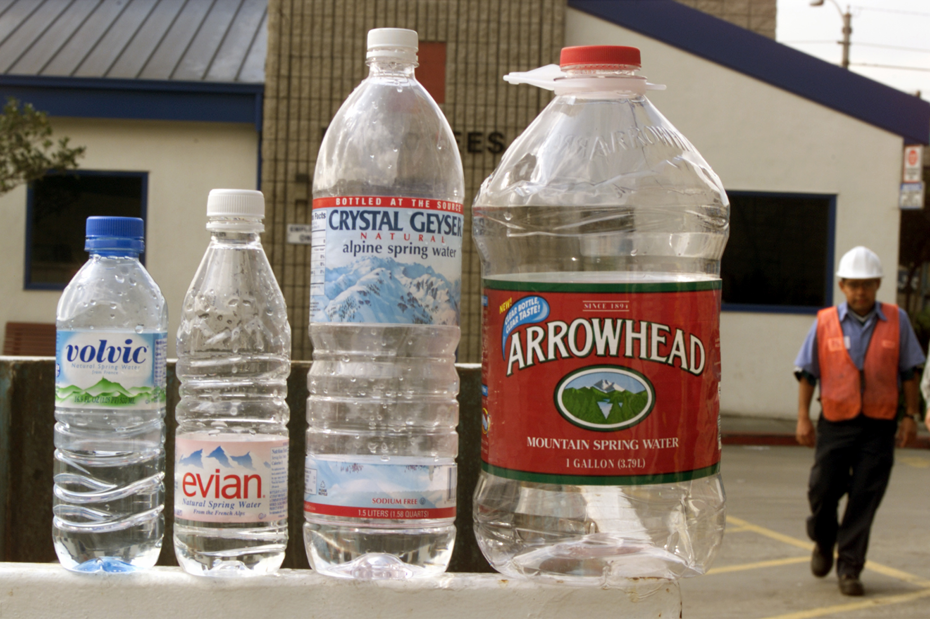 There are tiny living things that like to eat plastic