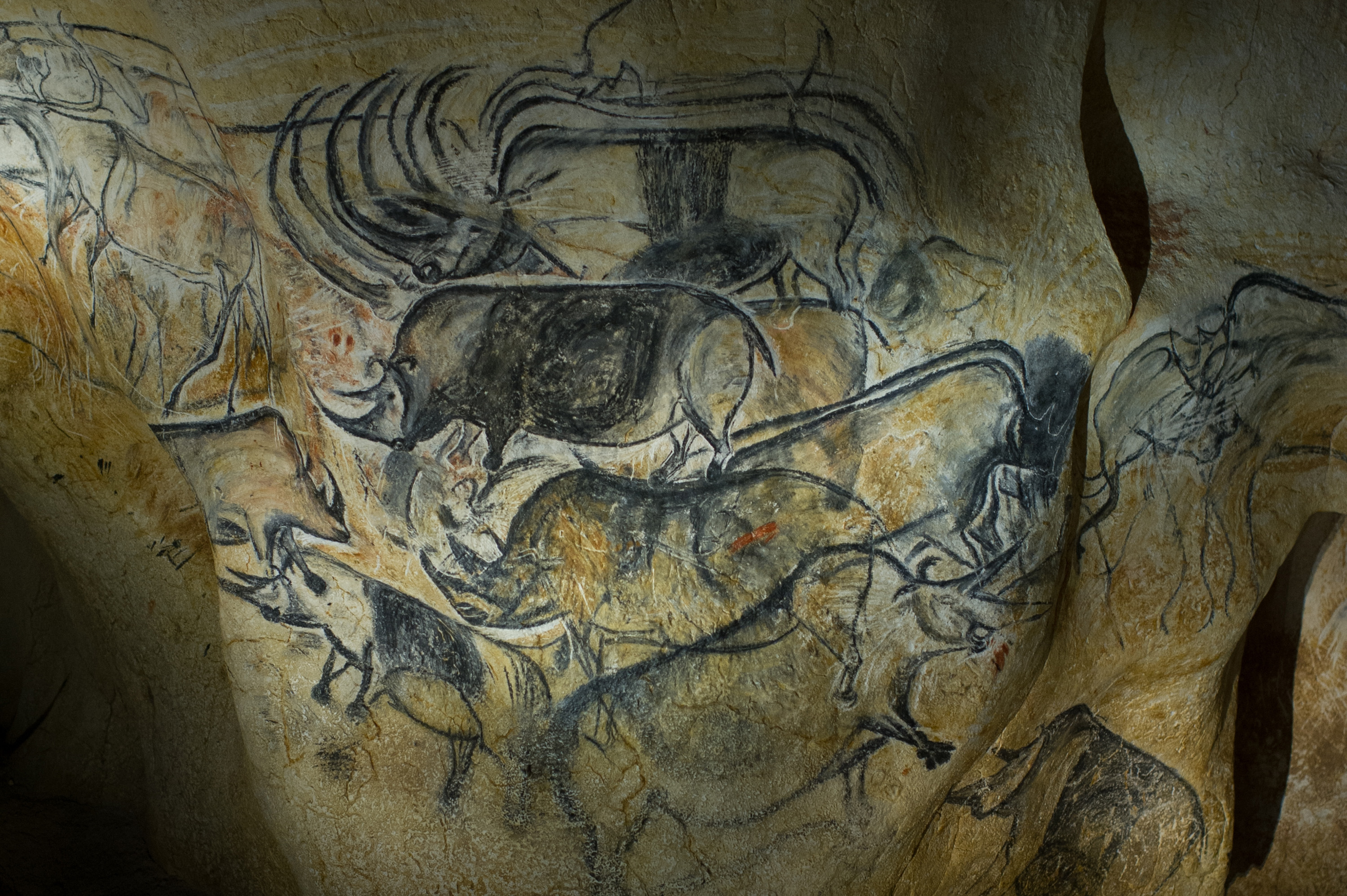 World's first art studio? Scientists share new details on cave drawings