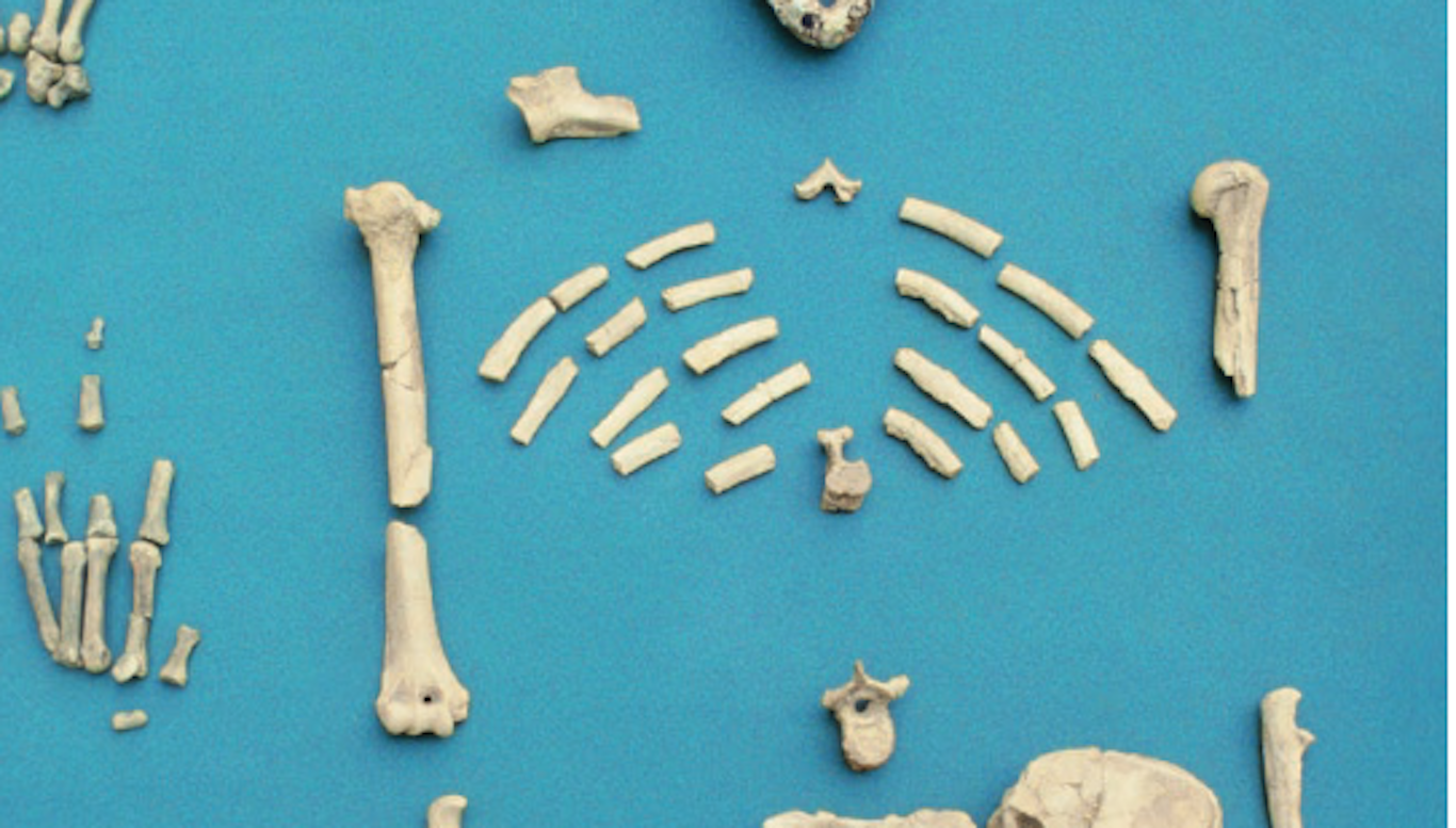 Finding Lucy: The Leakeys and the Search for Human Origins