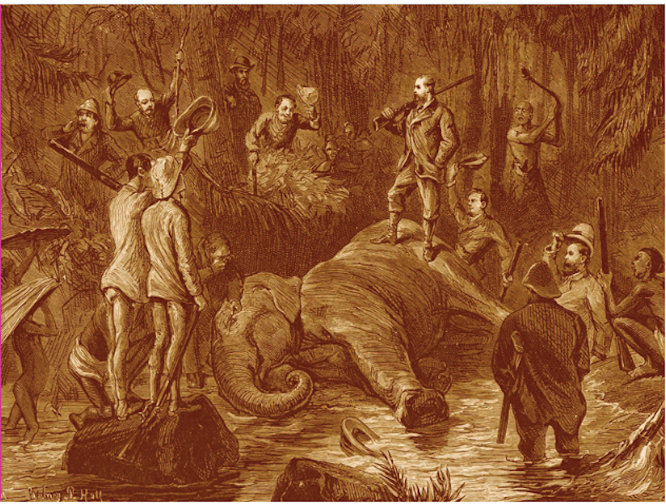 Imperialism and Resistance Shape the Modern World