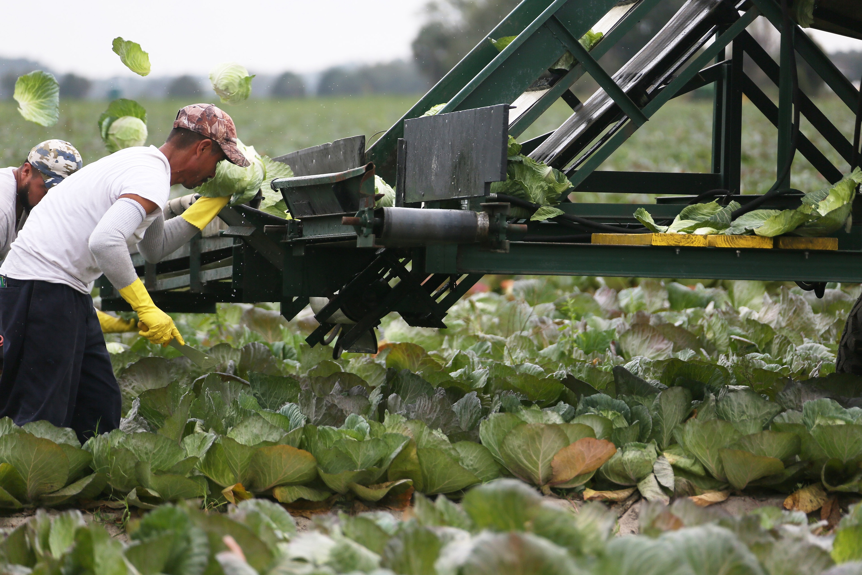 U.S. throwing away lots of good food
