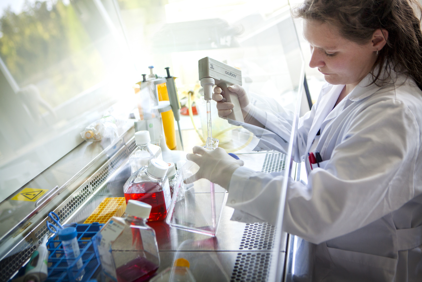 Dream Jobs: Academic researcher