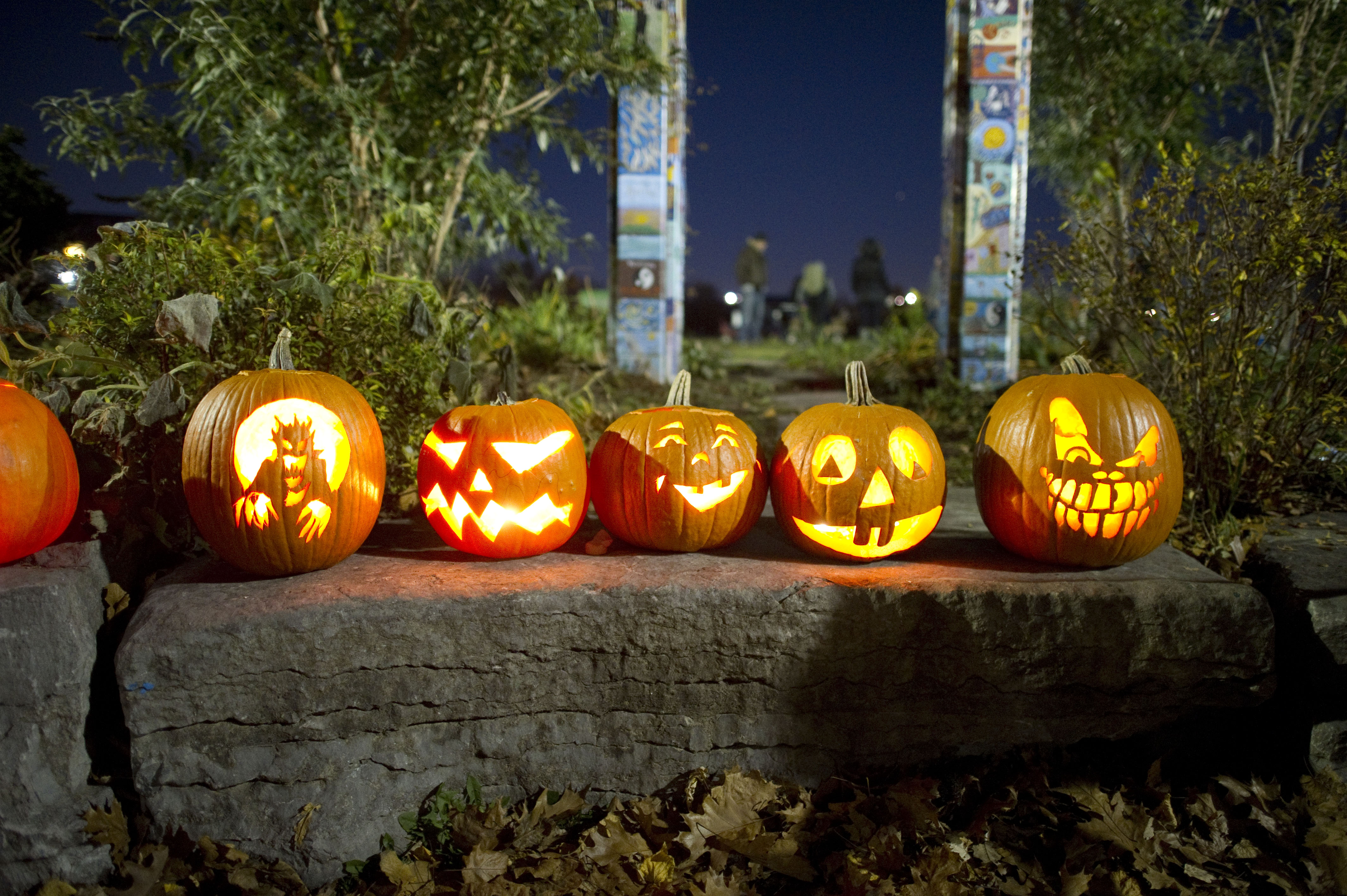 The professional scoop on scooping out that pumpkin goop