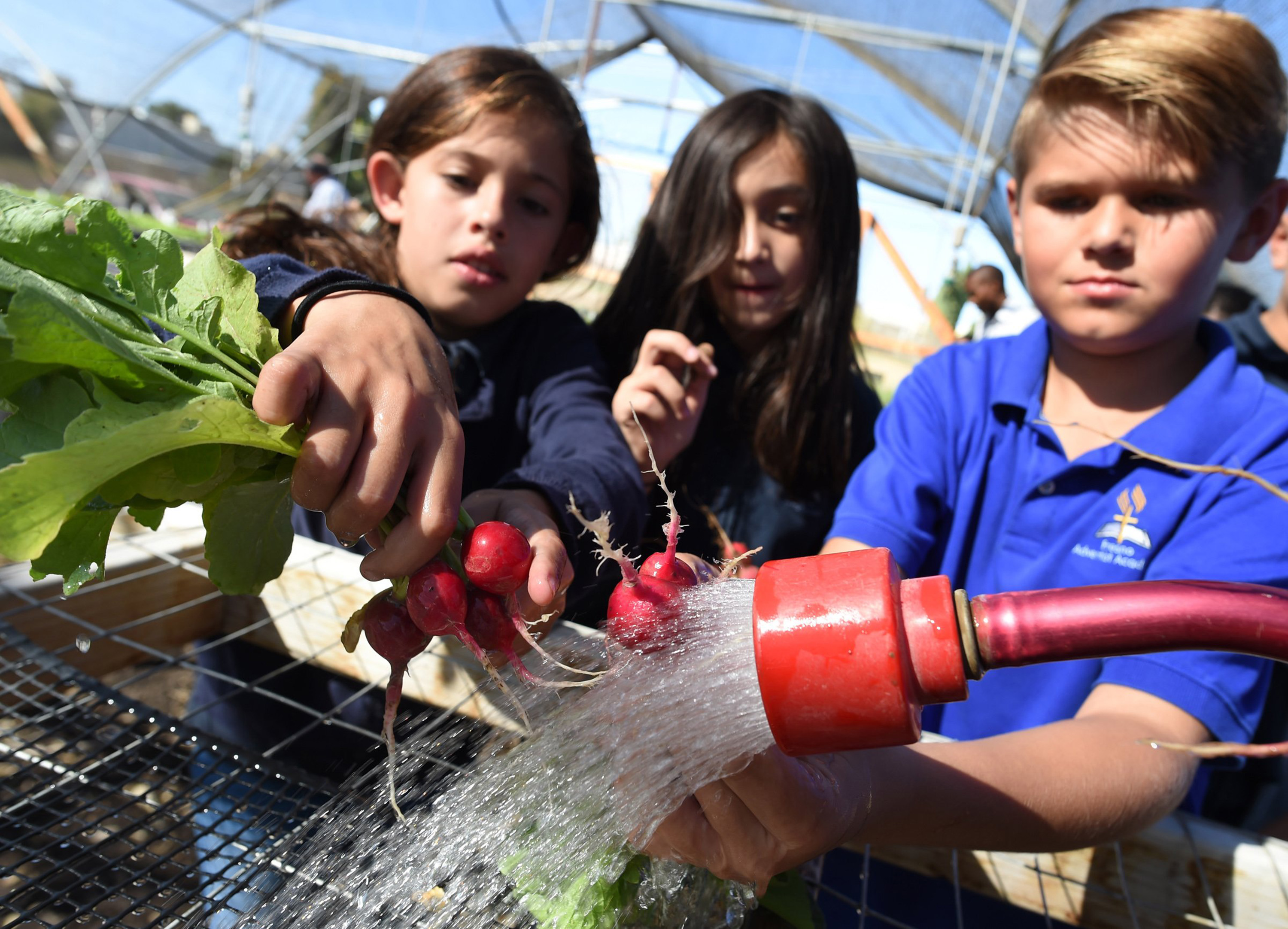 Farm at school helps kids learn why planting and growing food is important