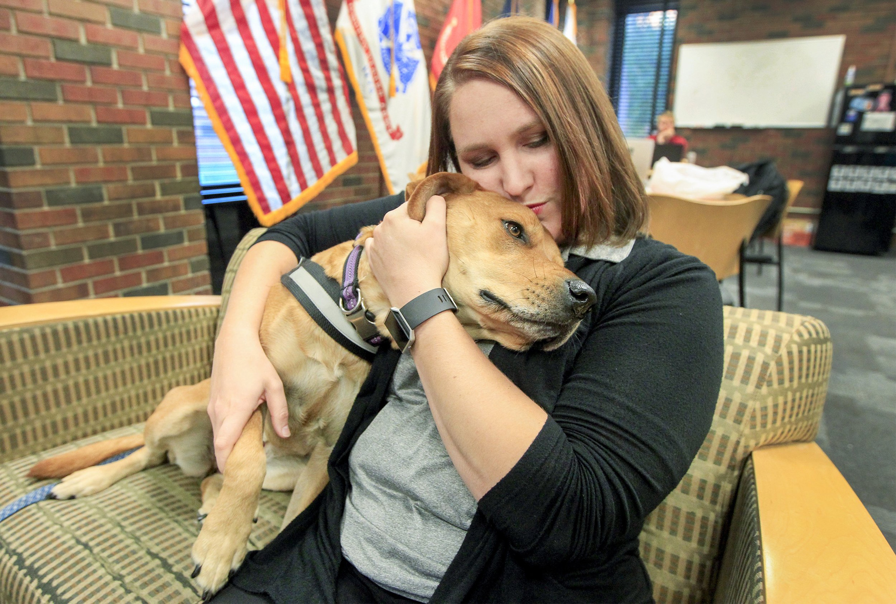 Dog therapy makes college feel like home for student veterans