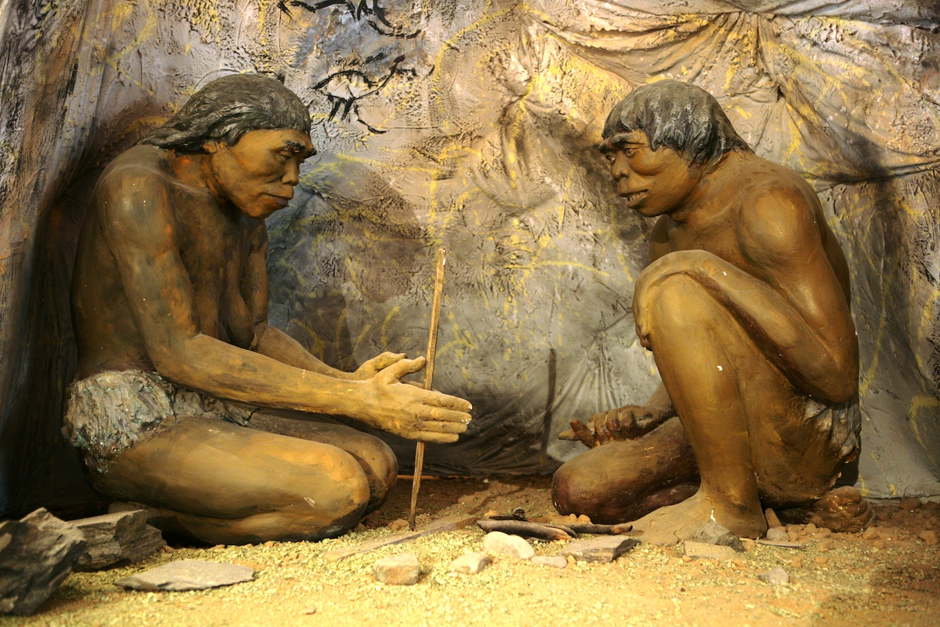 Prehistoric Times: Using Fire and Tools in the Stone Age