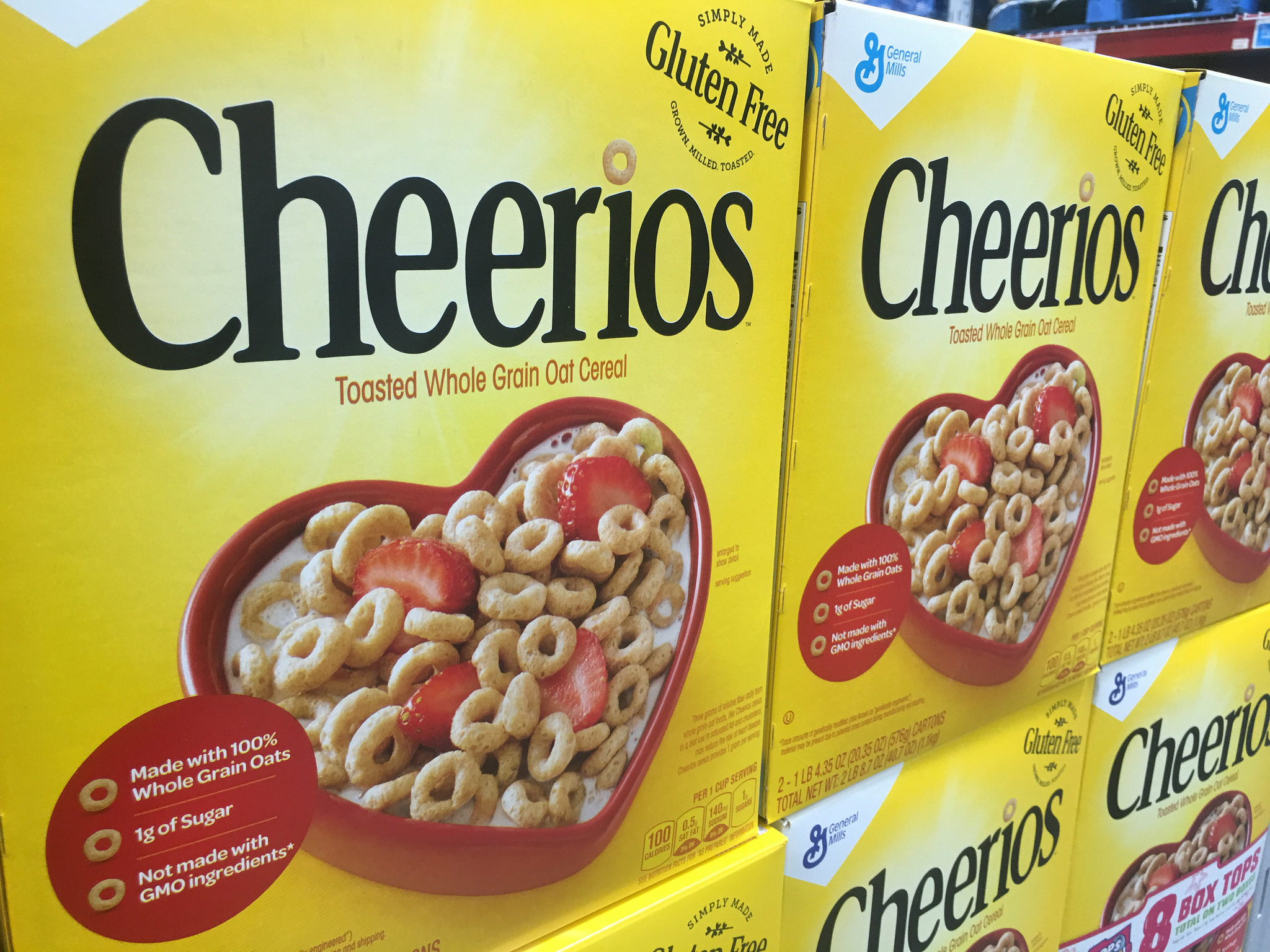 Las abejas en todo el planeta están en aprietos