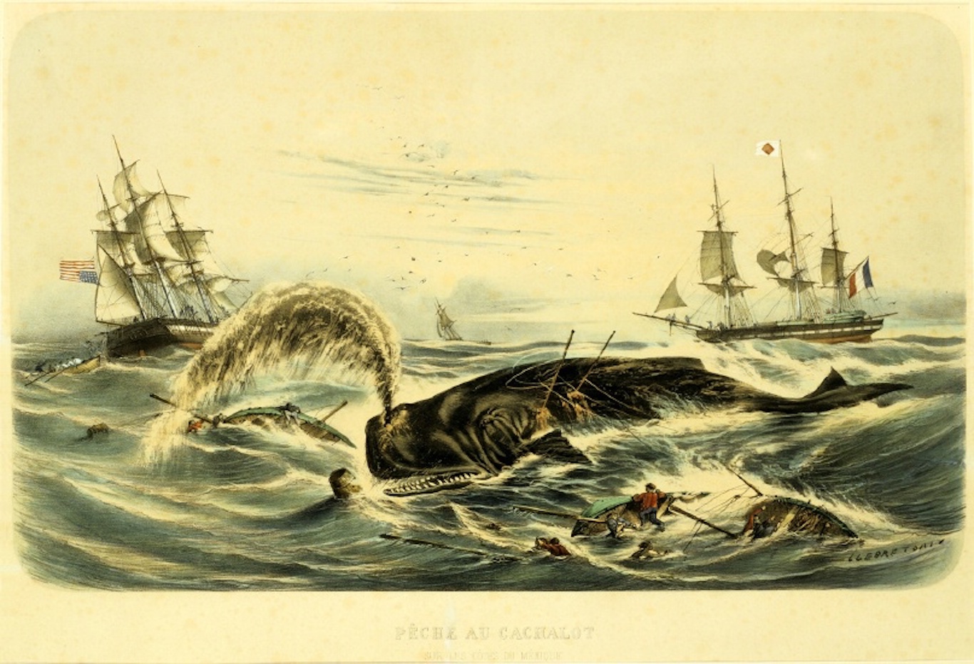 Guide to the Classics: "Moby Dick" by Herman Melville