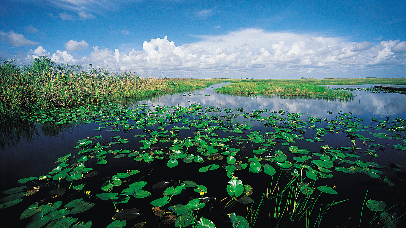 Florida: The Sunshine State