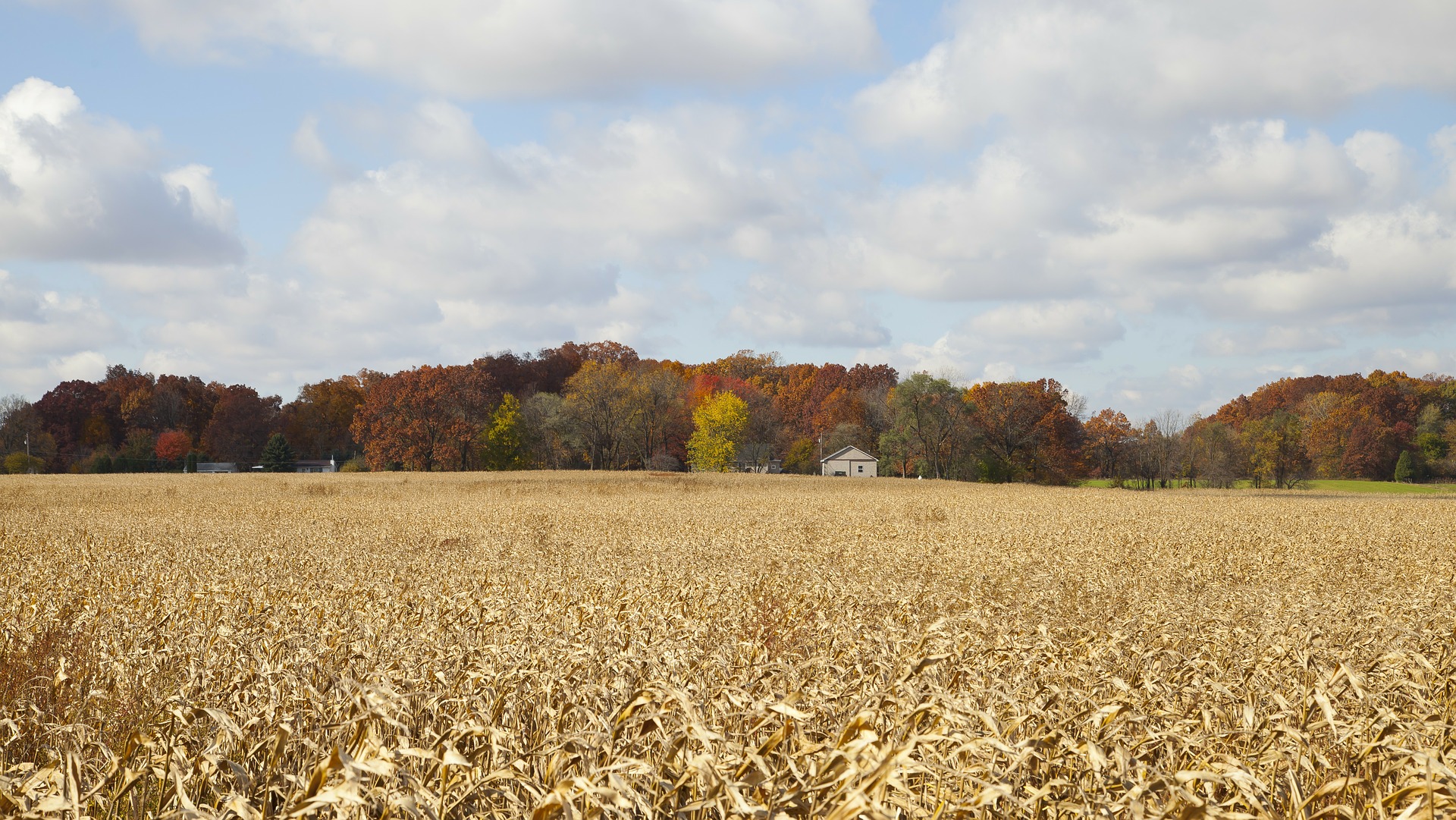 Indiana: The Hoosier State