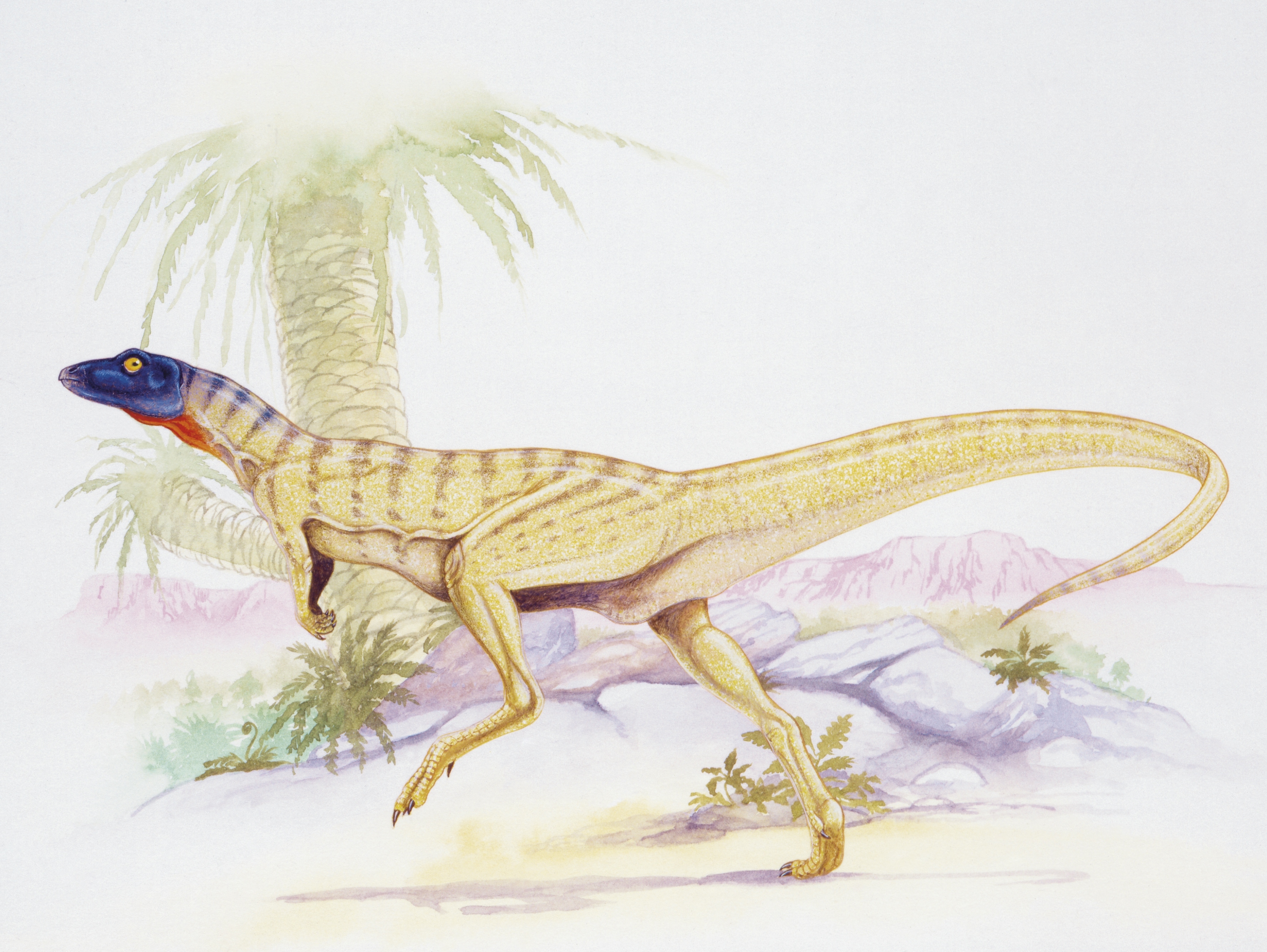 The Dino Files: Lesothosaurus