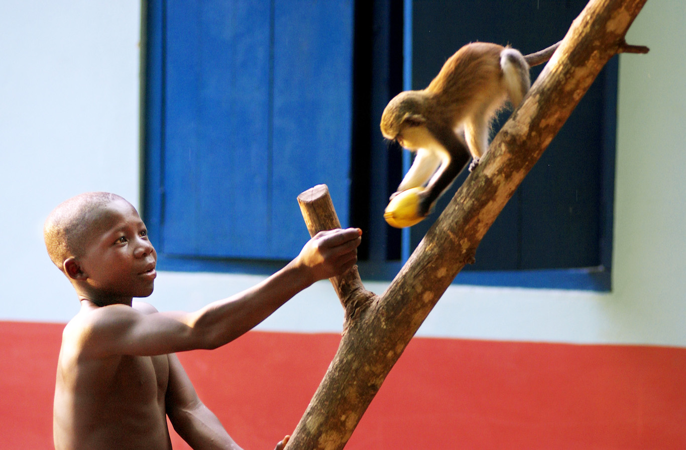 Ghanaian villagers profit from monkey business