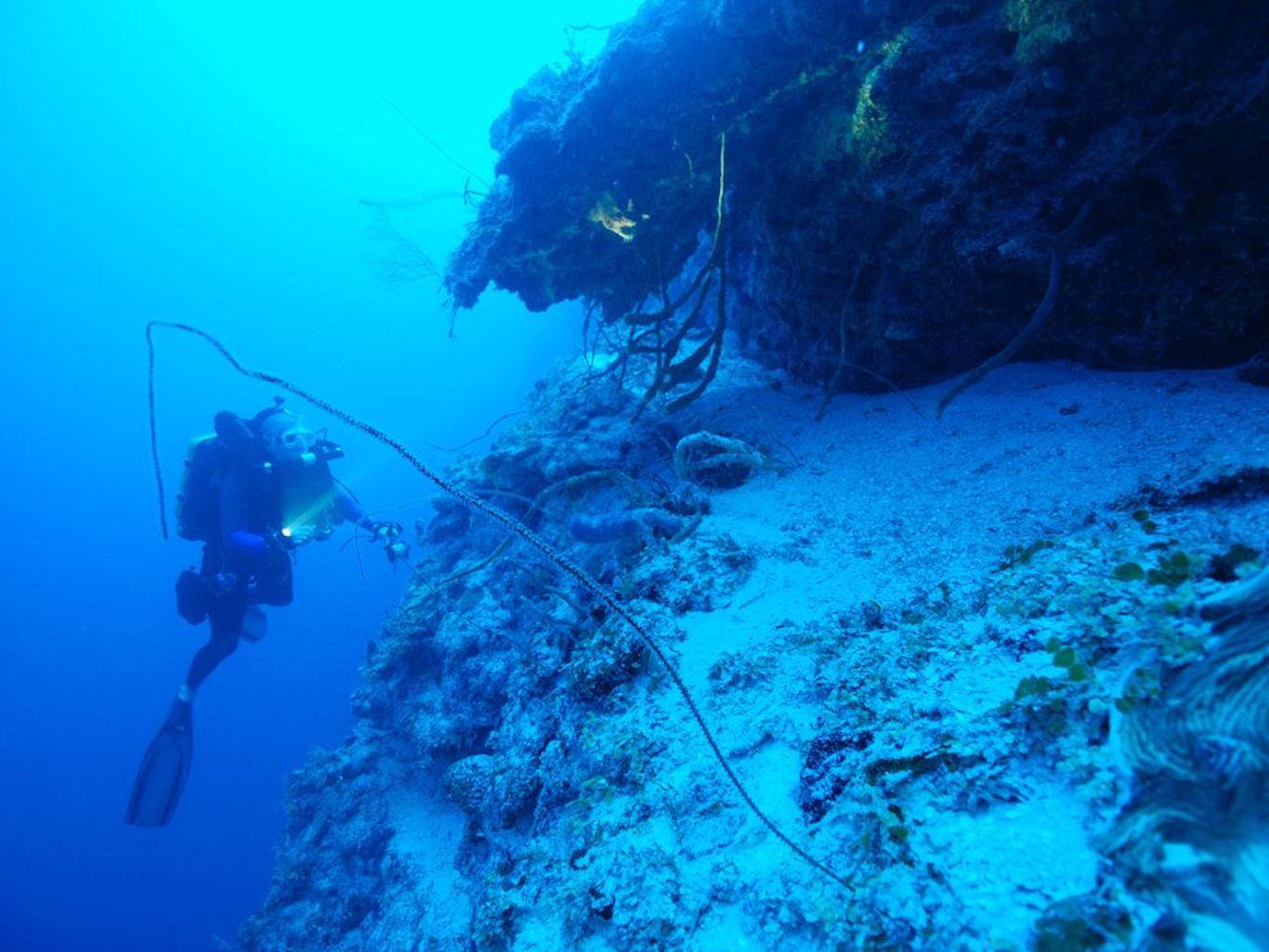 Dream Jobs: Ocean explorer