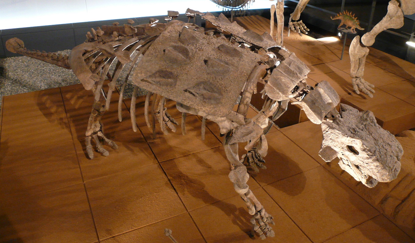 The Dino Files: Euoplocephalus
