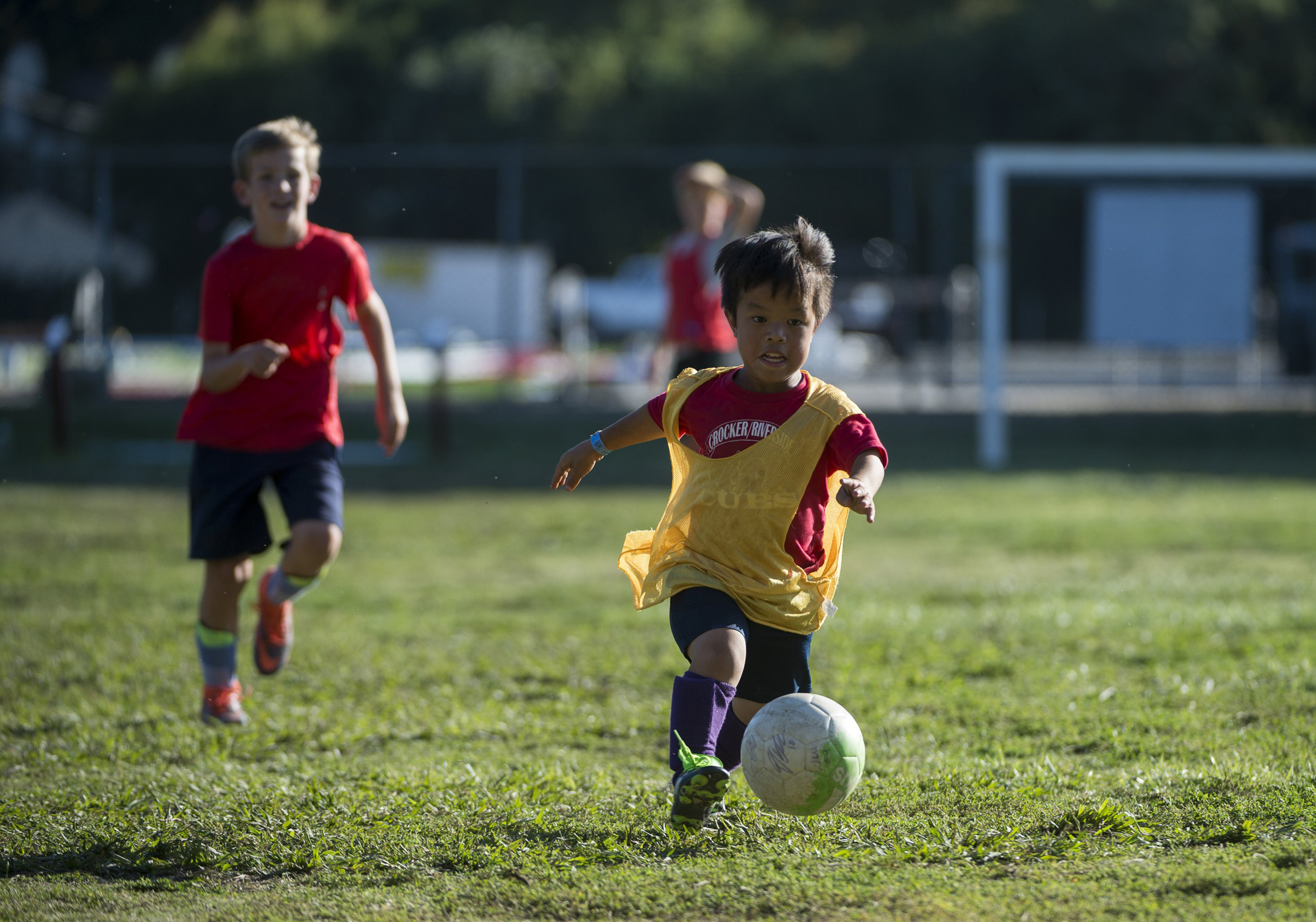 Brothers with dwarfism prove height doesn't matter to excel in sports