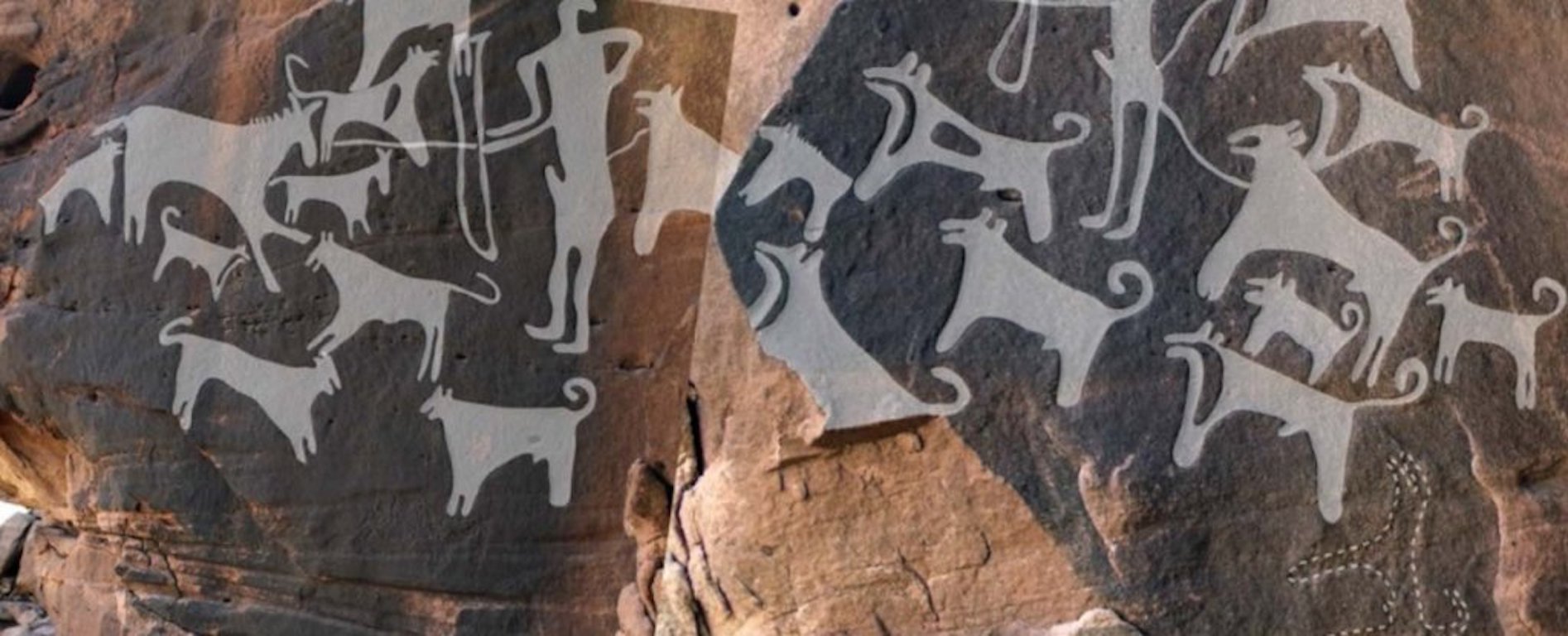 Cave carvings capture earliest images of canine companionship