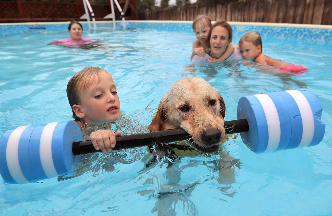 Magical dog teaches kids with special needs how to swim Magical dog teaches kids with special needs how to swim