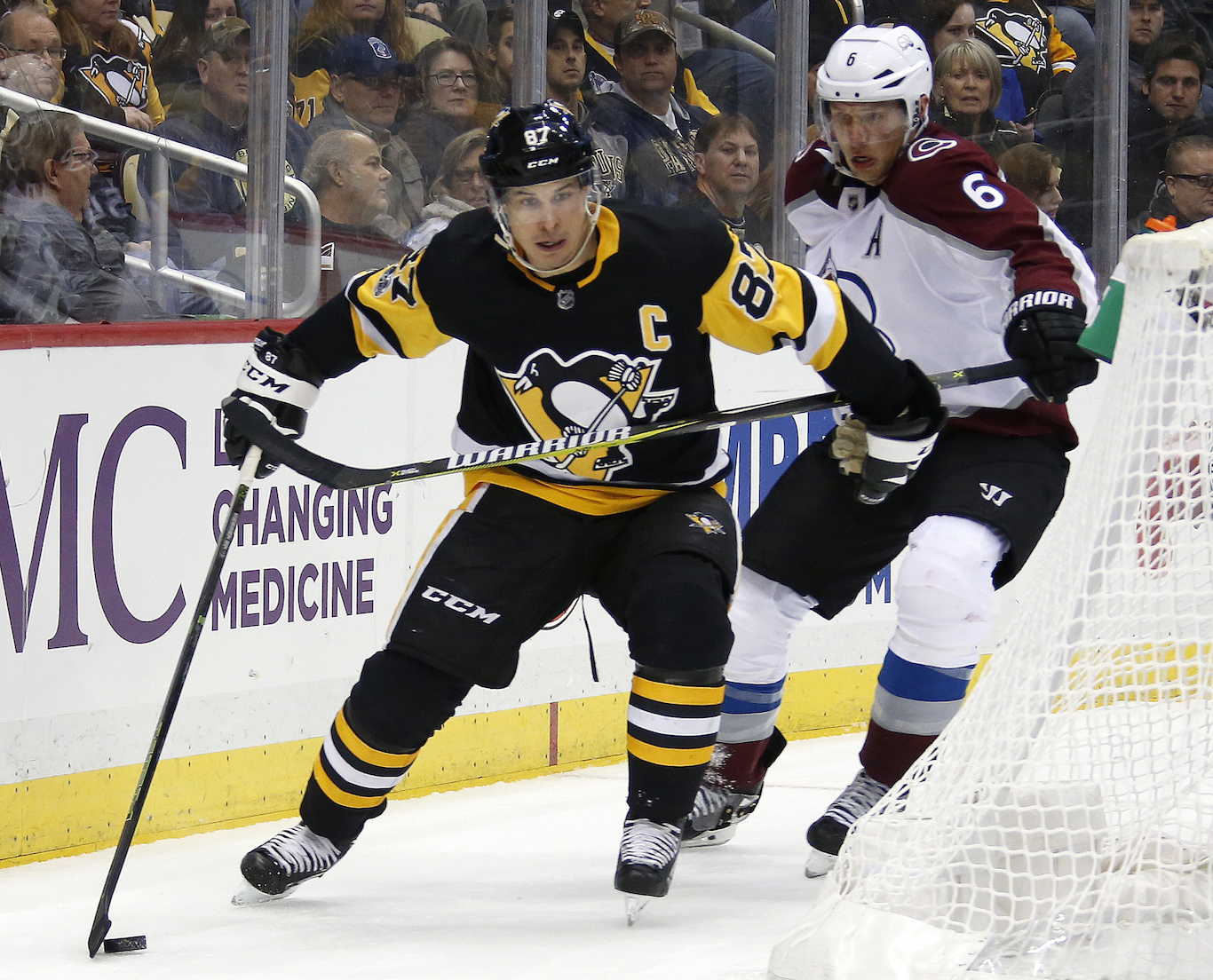 60 million years ago, penguins were as big as a grown-up!