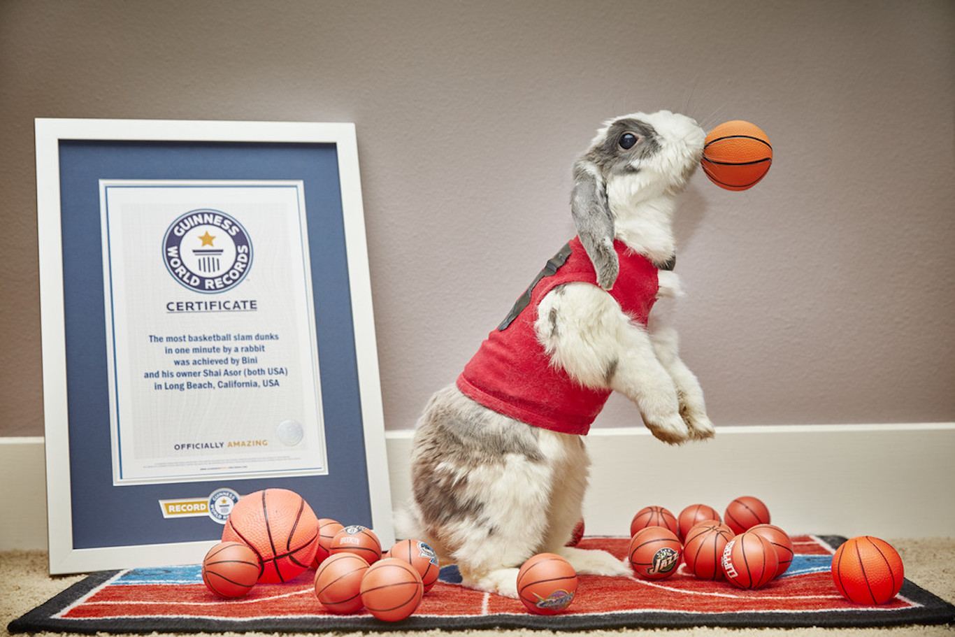 Bini the Bunny was just one of the 2017's world-record-setters