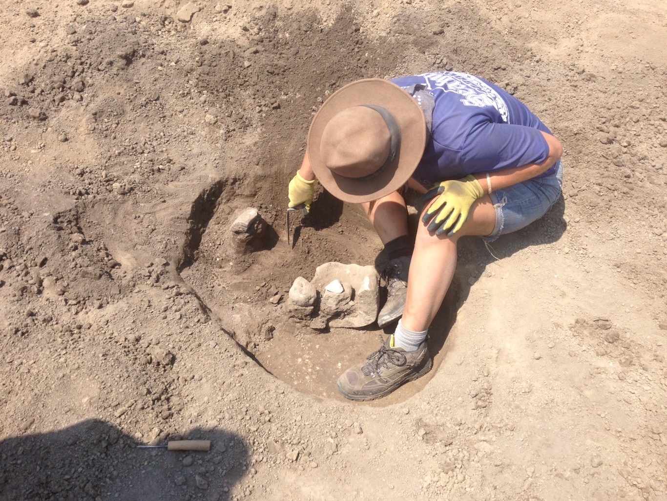 Dream Jobs: Archaeologist