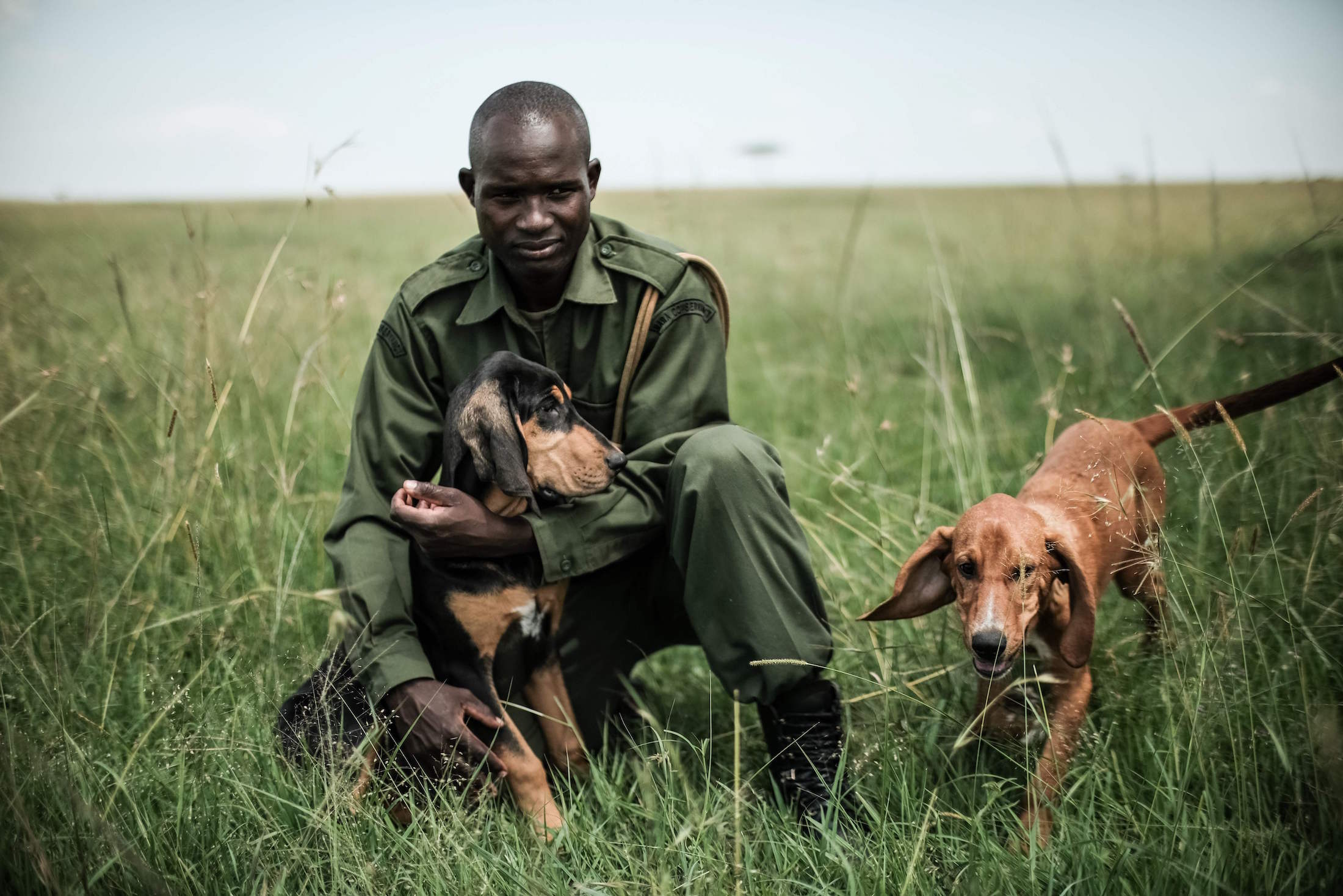 Tracker dogs in Kenya: A ranger's best friend, poacher's worst enemy