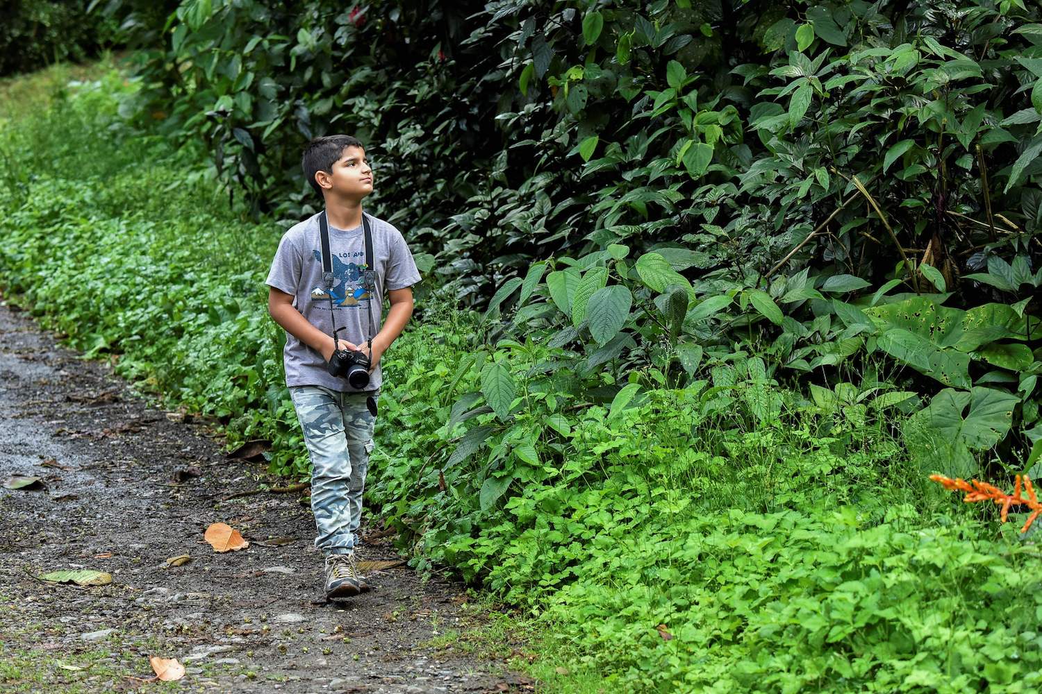 Colombia is the best country on the planet for bird-watching