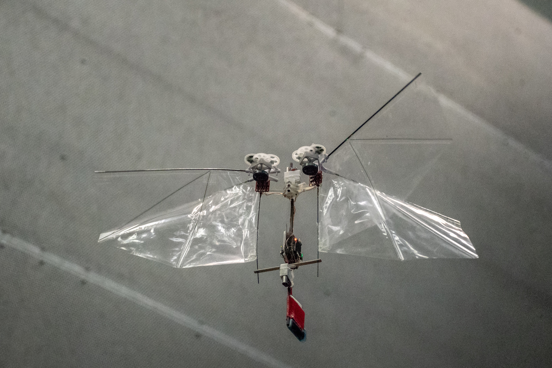 Robotic bees could spread pollen to plants if the real bees die